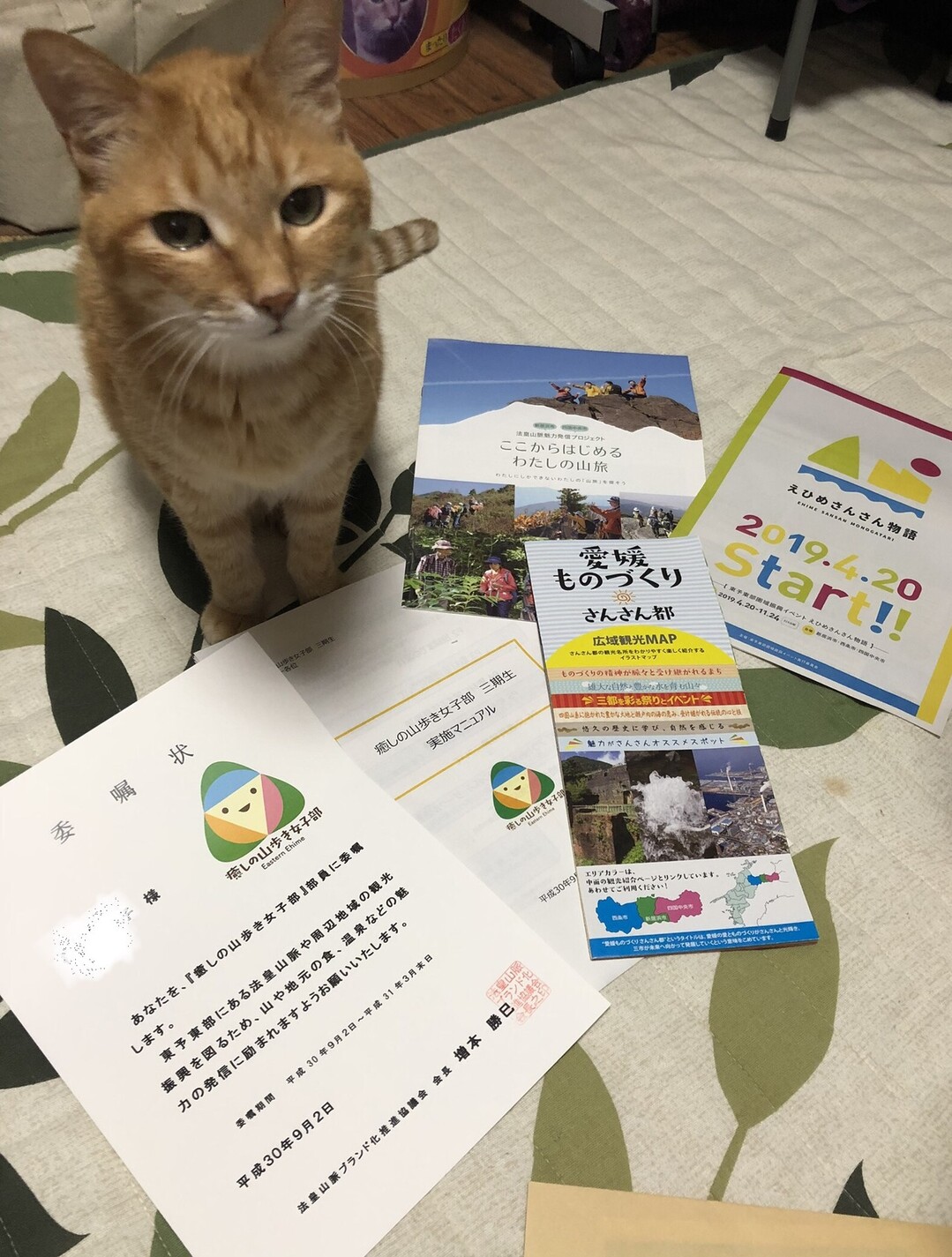 癒しのなんちゃら… / Rincoさんの塩塚峰の活動日記 | YAMAP / ヤマップ