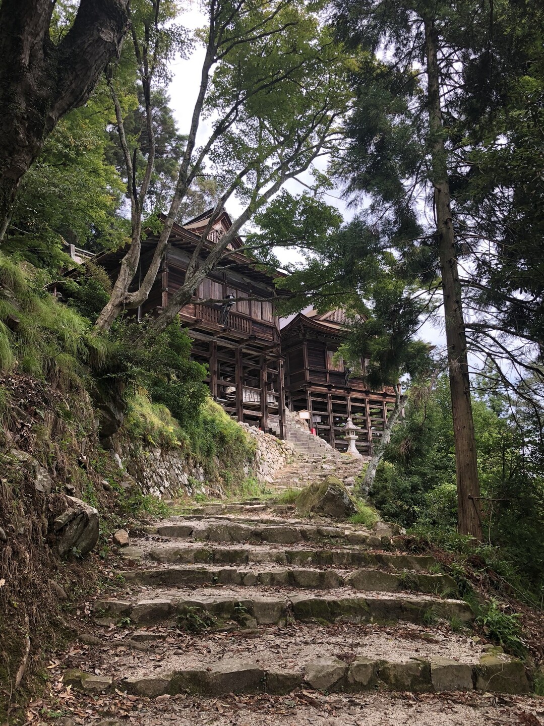 大宮林道〜横川〜三石岳・八王子山〜日吉大社 / Yuttyさんの比叡山・横高山・梶山の活動データ | YAMAP / ヤマップ