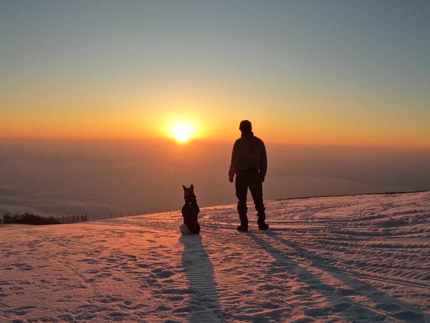 🐕️やあ。おいらの名前はくう。 エンジ... / くうさんのモーメント | YAMAP / ヤマップ