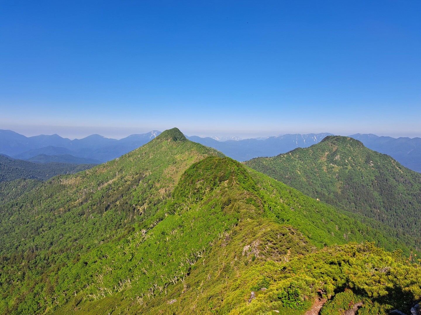 道東遠征2日目 クマ_西クマ_ピリベツ / nomさんのクマネシリ岳の活動データ | YAMAP / ヤマップ