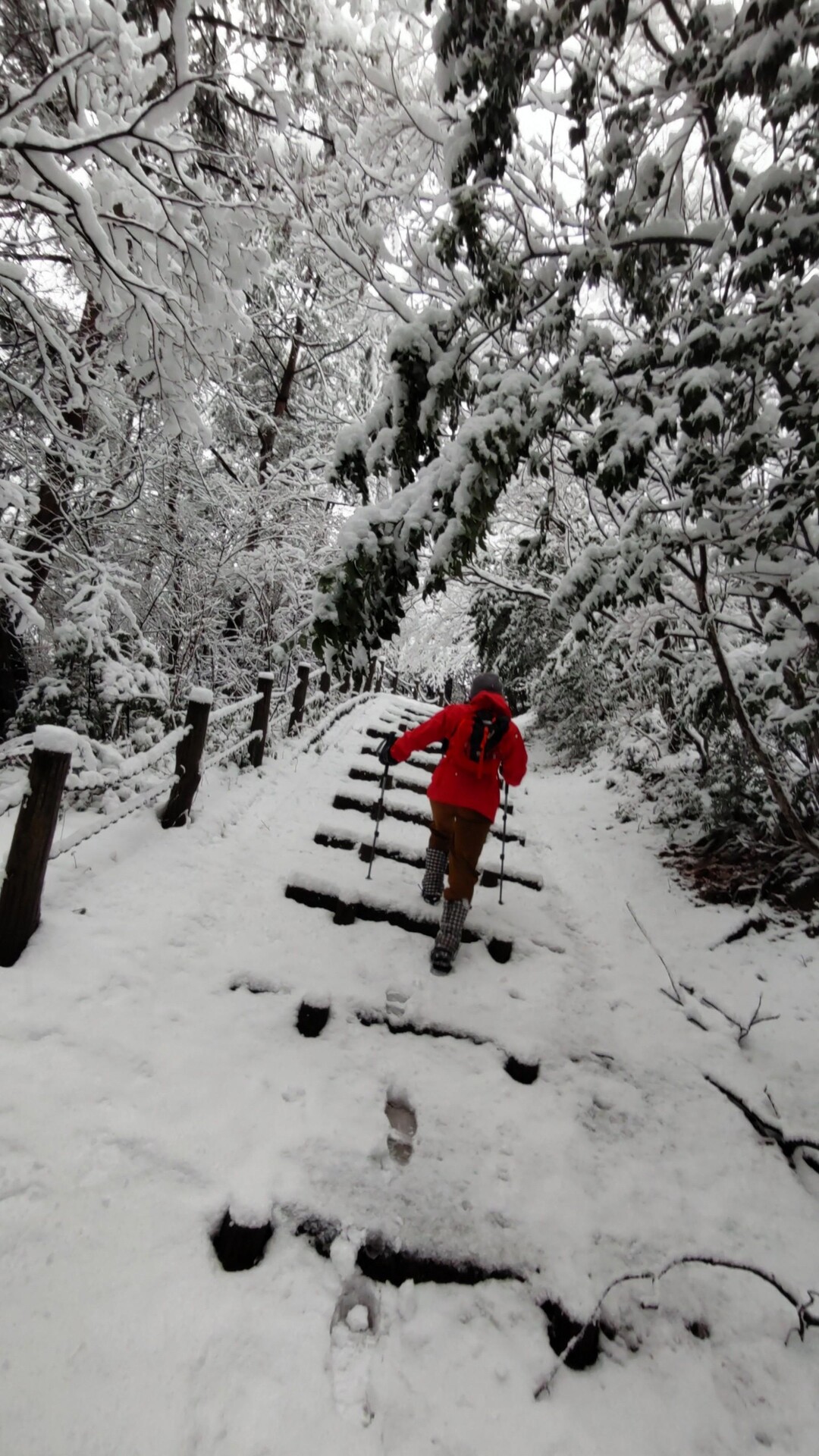 大観峯 少しずつ / nomatさんの城ヶ平山・ハゲ山・三角山の活動データ | YAMAP / ヤマップ