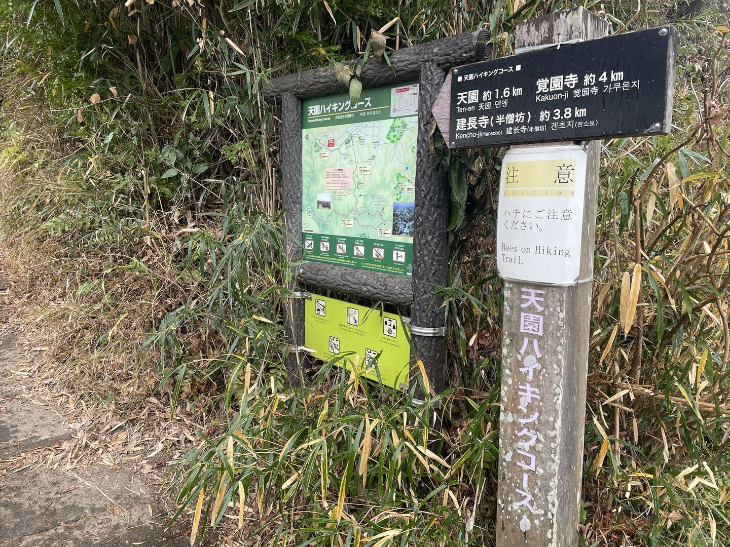 ロング走ときどき鎌倉トレイル / knさんの鎌倉アルプス（大平山・天台山）の活動データ | YAMAP / ヤマップ