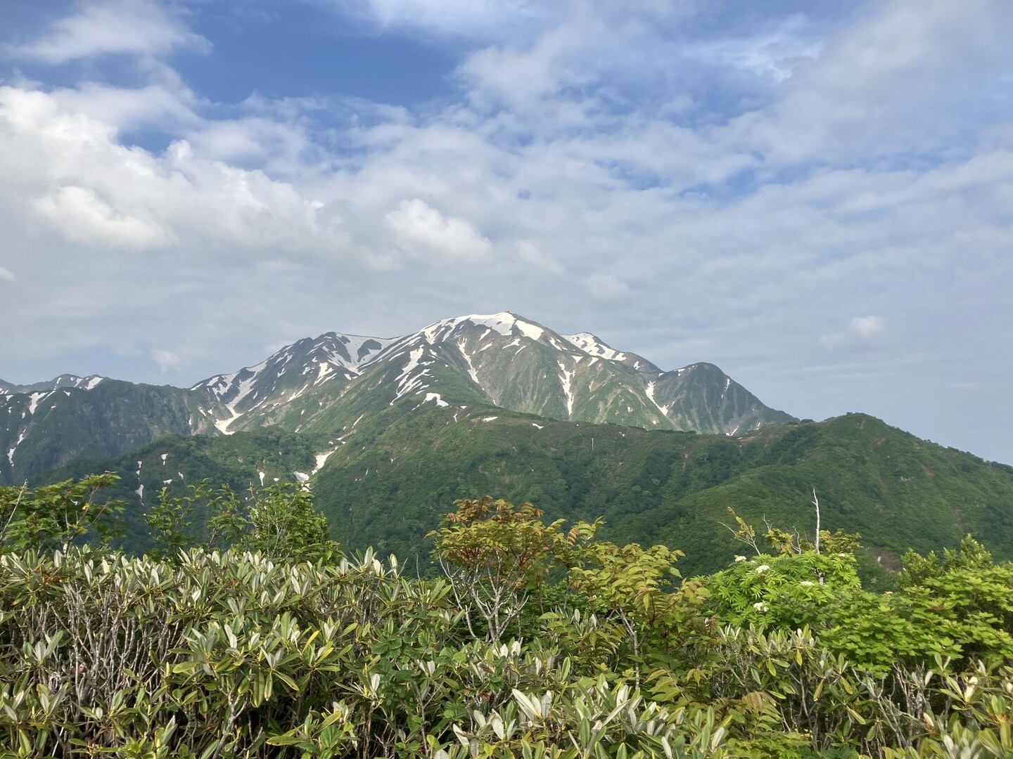 越後駒ヶ岳 - 傷んだ膝で下る / aqさんの越後駒ヶ岳・八海山・荒沢岳の活動データ | YAMAP / ヤマップ