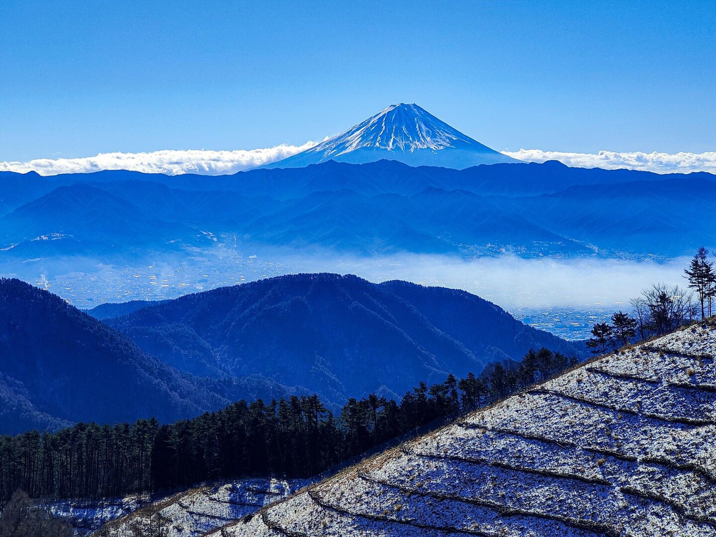 見越山・帯那山 / nobo1274さんの帯那山の活動データ | YAMAP / ヤマップ