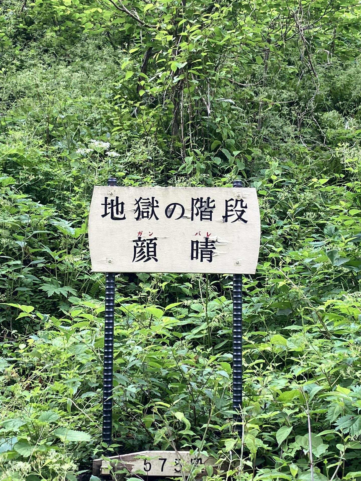 菅名岳・鳴沢峰 / YUKIZARU。さんの菅名岳・大蔵山・鳴沢峰の活動データ | YAMAP / ヤマップ