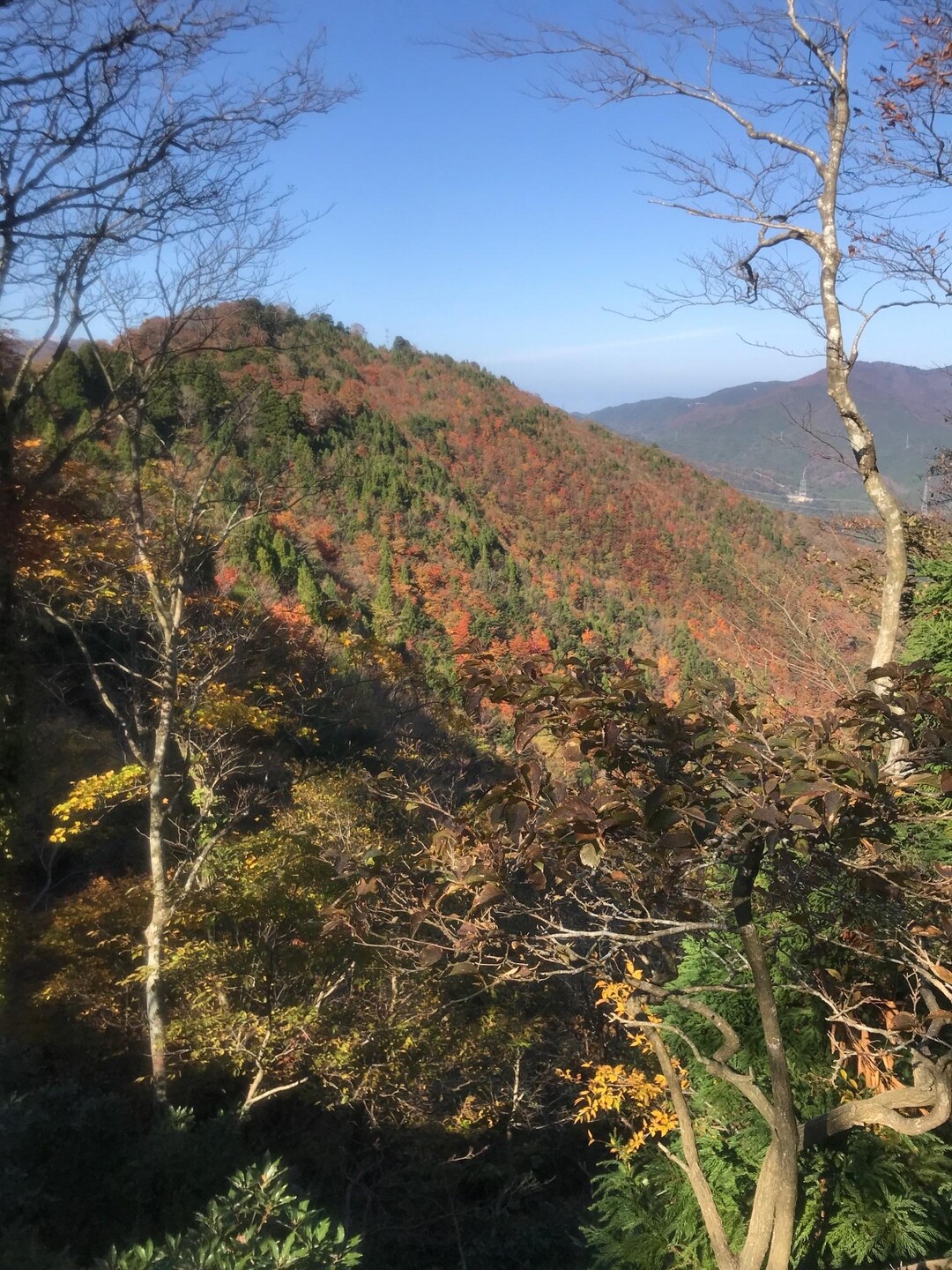 松屋地蔵権現岳・大御影山・大谷山・寒風 / ミックルさんの三国山・乗鞍岳・赤坂山の活動データ | YAMAP / ヤマップ