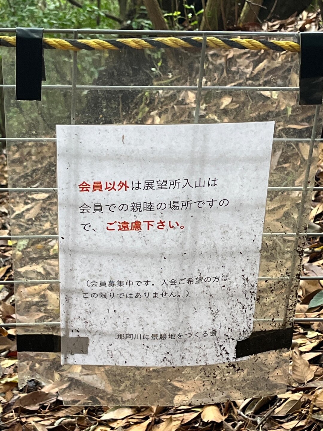 nekodakeさんの投稿したフィールドメモ | YAMAP / ヤマップ