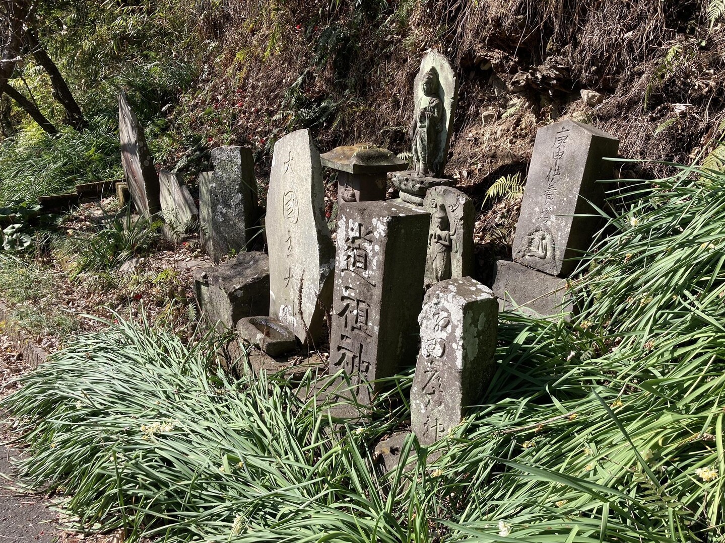 鎌倉街道中道-1日目 / Aokatiさんの鎌倉市の活動データ | YAMAP / ヤマップ