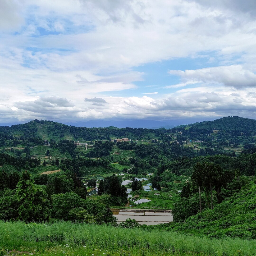 金倉山-2021-05-30 / ukiさんのウォーキングの活動データ | YAMAP / ヤマップ