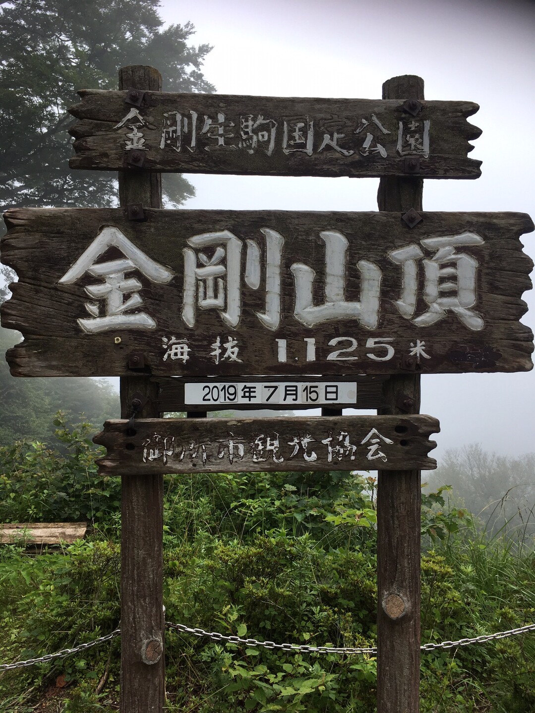 金剛山 初めてのタカハタ道 / うえきよさんの金剛山・二上山・大和葛城山の活動データ | YAMAP / ヤマップ