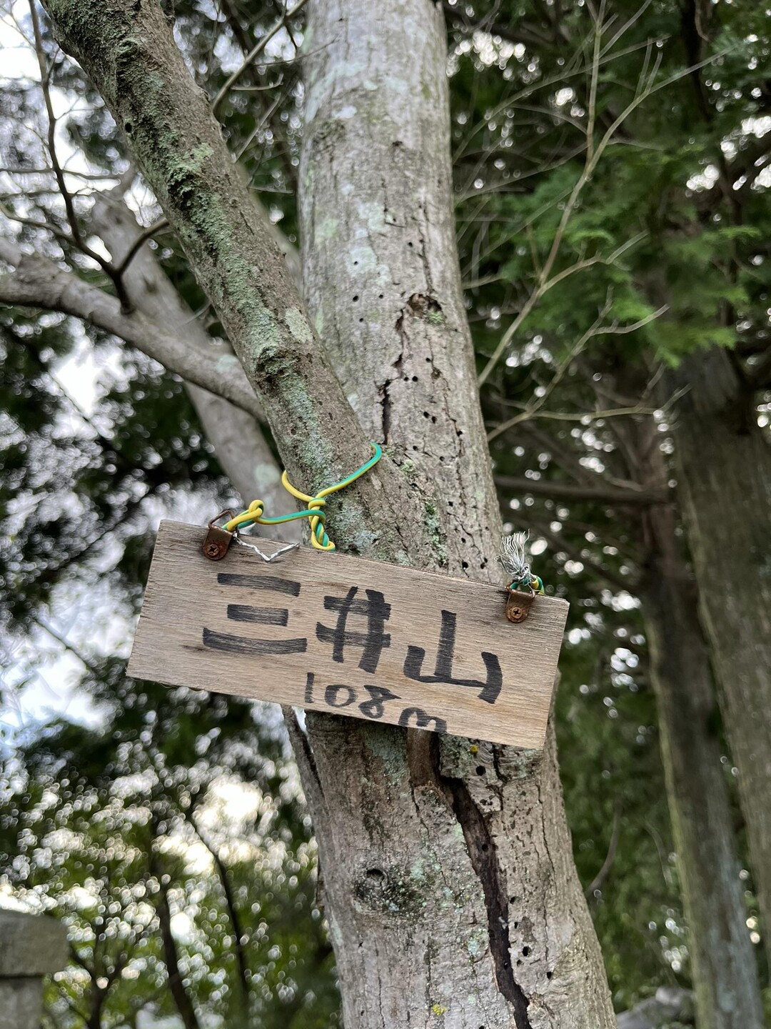 三井山 / gaitoさんの三井山の活動データ | YAMAP / ヤマップ