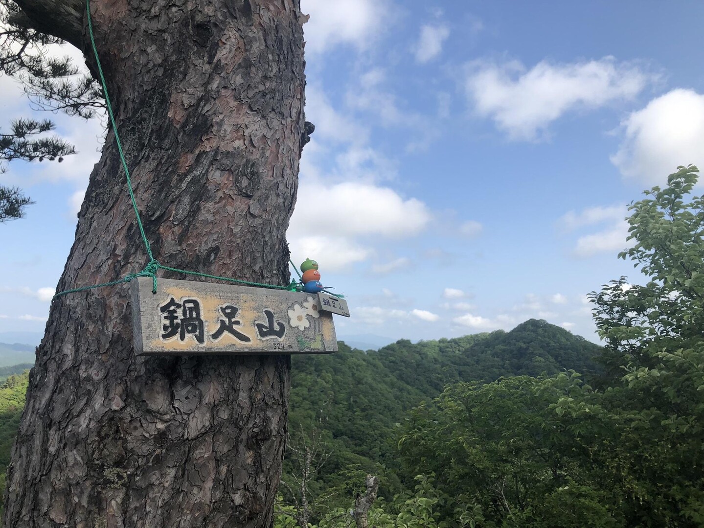勇者に聞きし 鍋足山 猪ノ鼻峠コース / dragon_zさんの鍋足山の活動データ | YAMAP / ヤマップ