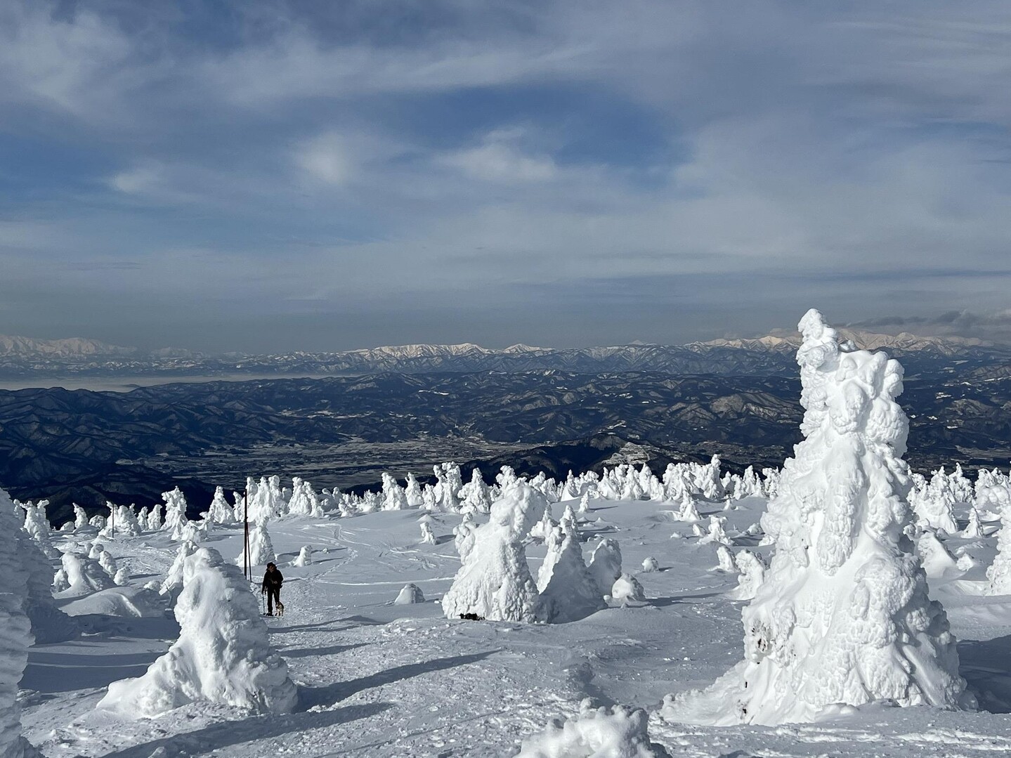 蔵王deスノーシューイング🐕2024-01-31 / ノリッコさんの蔵王山・雁戸山・不忘山の活動データ | YAMAP / ヤマップ