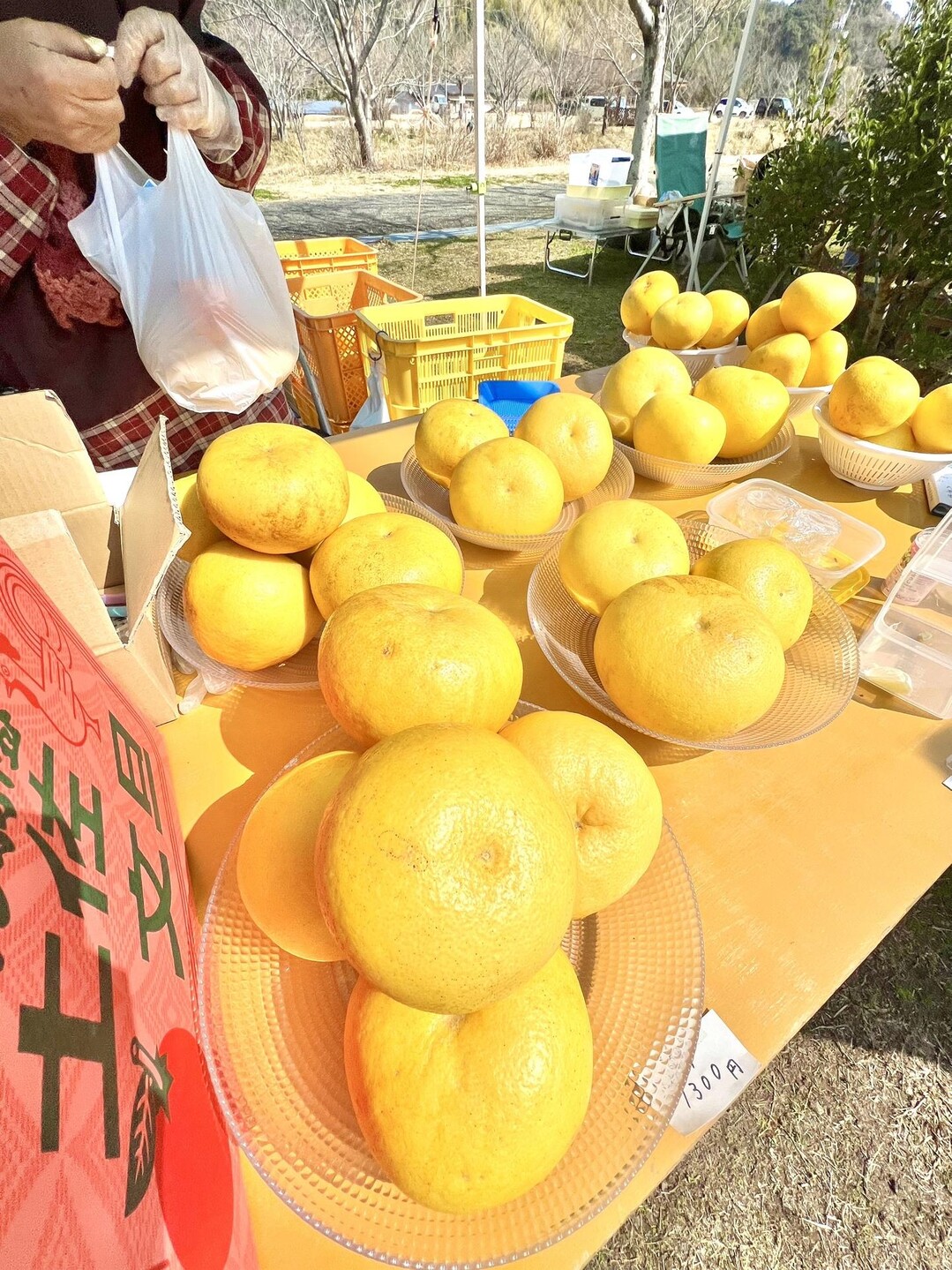 お遍路ウォーク 室戸岬 / HKさんの四十寺山・室戸岬の活動データ | YAMAP / ヤマップ