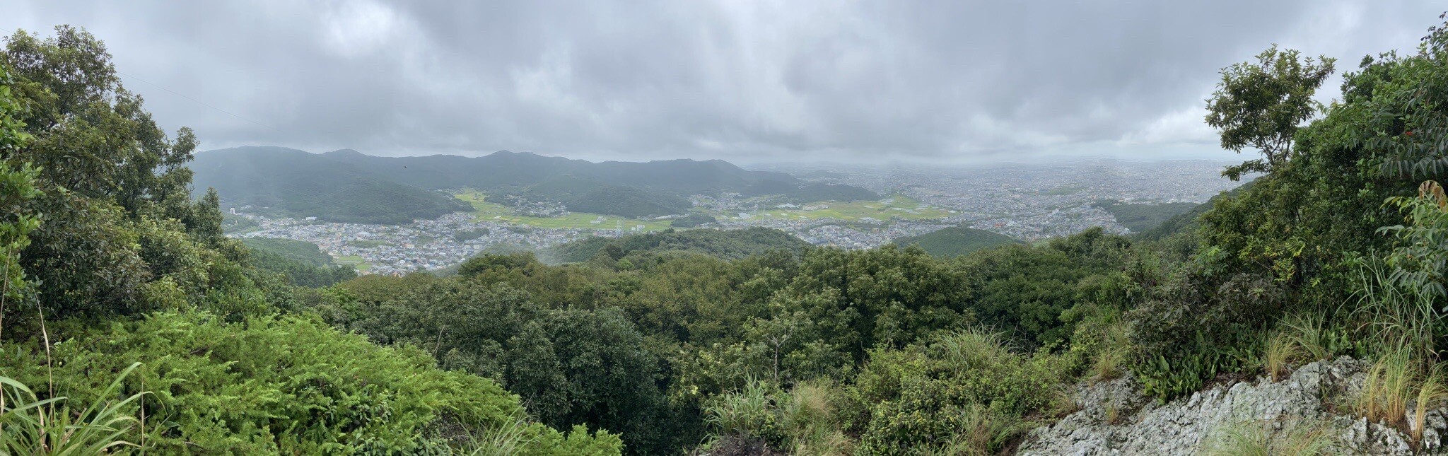 家からハイキング / t28さんの坊ヶ峰・石巻山・神石山・葦毛湿原の活動データ | YAMAP / ヤマップ