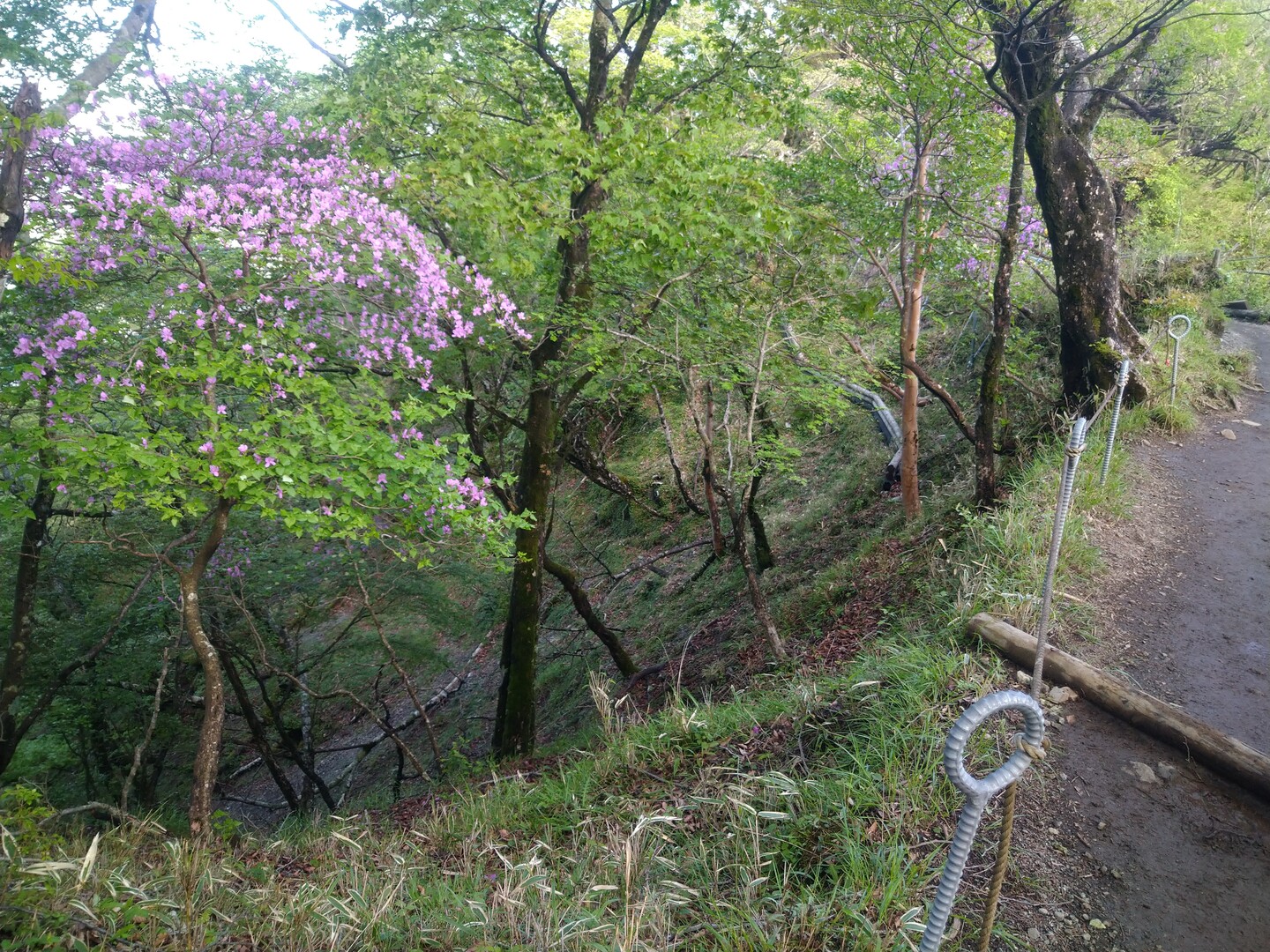 塔ノ岳 山頂にソーラーパネル設置 / takeriさんの塔ノ岳・丹沢山・蛭ヶ岳の活動データ | YAMAP / ヤマップ