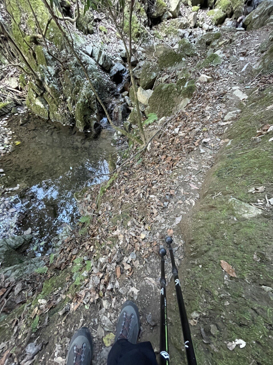 YS-153さんの投稿したフィールドメモ | YAMAP / ヤマップ