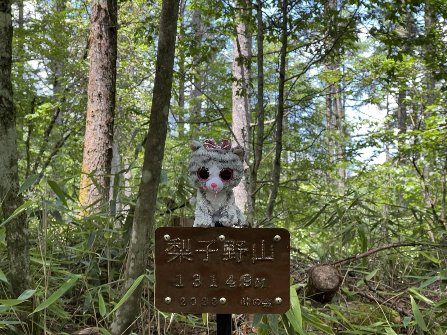 高鳥屋山・梨子野山 / ISSEIさんの高鳥屋山・梨子野山・笠松山の活動データ | YAMAP / ヤマップ
