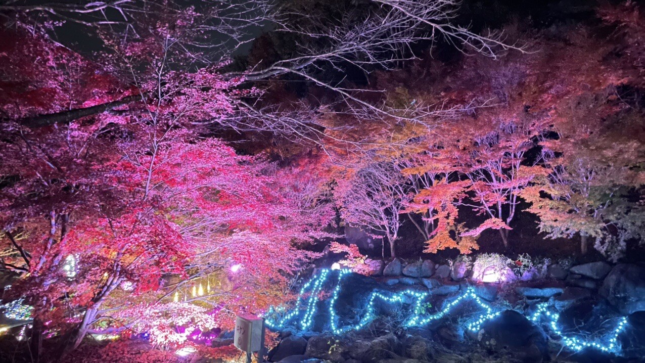 八面山ライトアップ初日です。 人はまばら... / Haroldさんのモーメント | YAMAP / ヤマップ