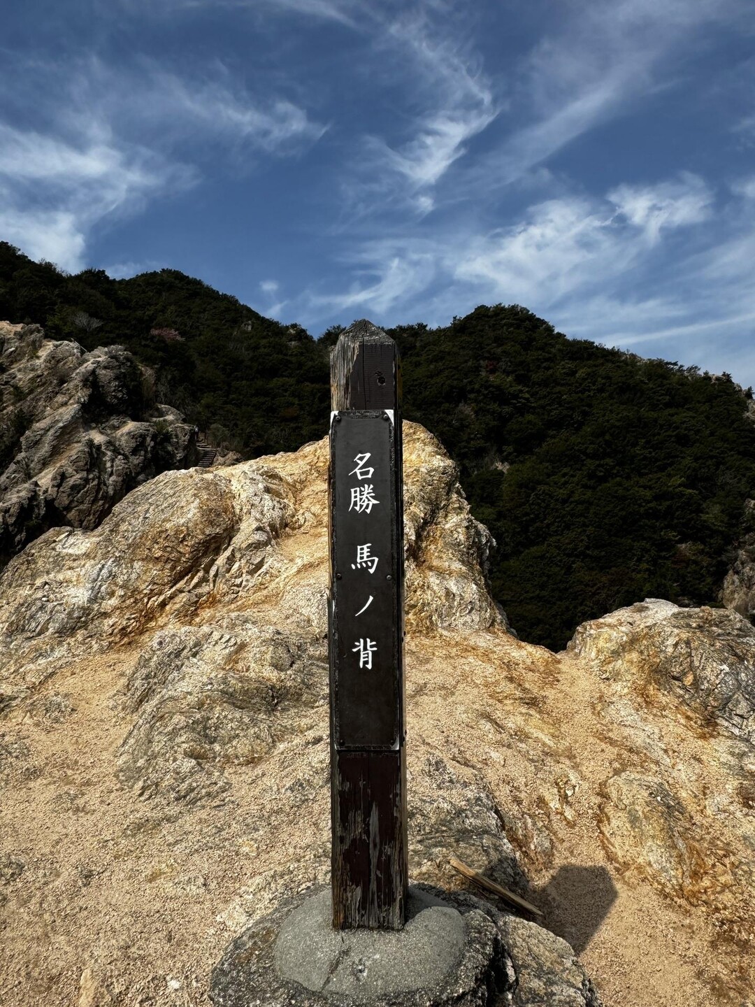 須磨アルプス / necoさんの東山の活動データ | YAMAP / ヤマップ