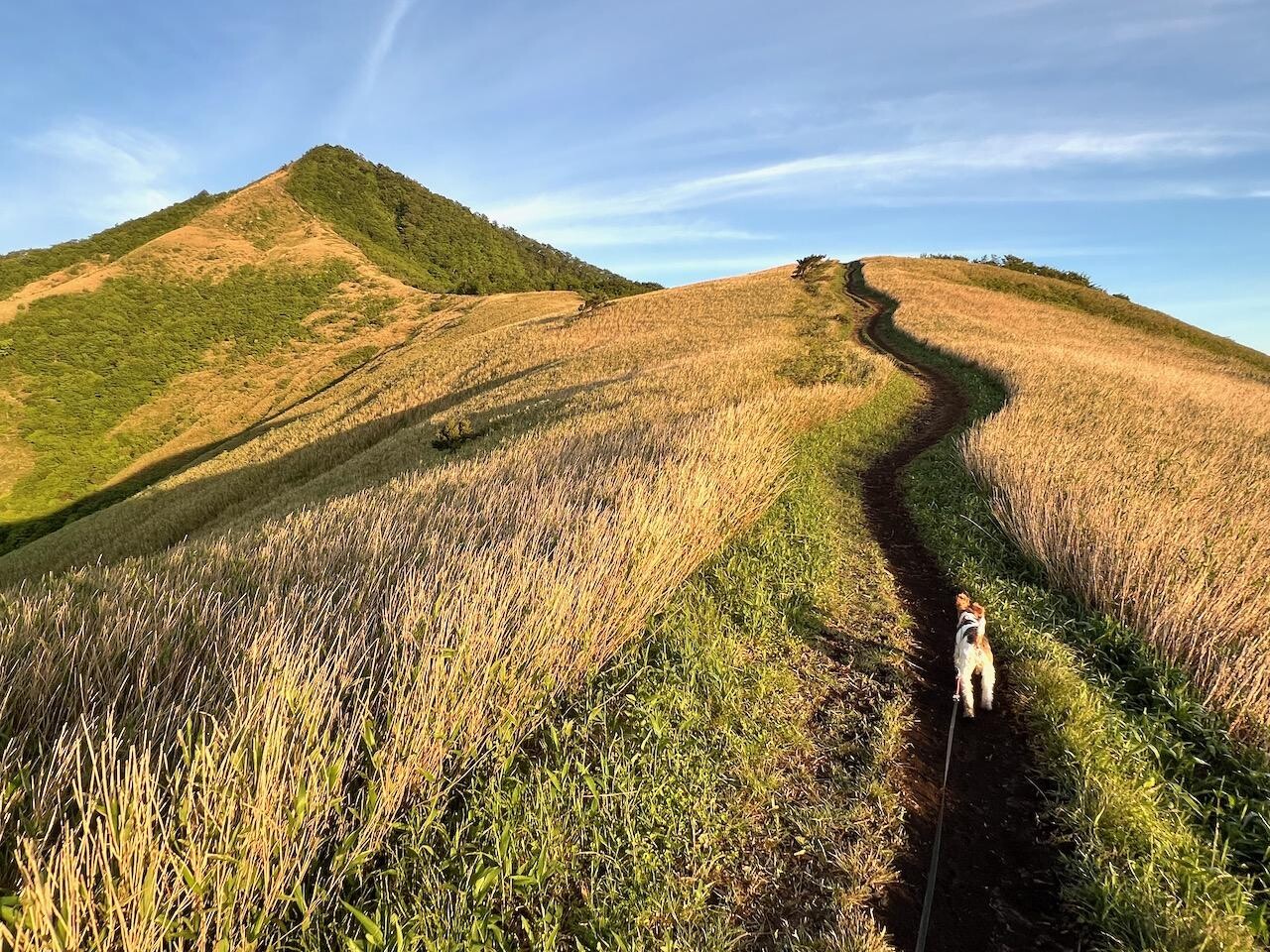 下蒜山・中蒜山・上蒜山 🔁 / masa omoさんの蒜山の活動データ | YAMAP / ヤマップ
