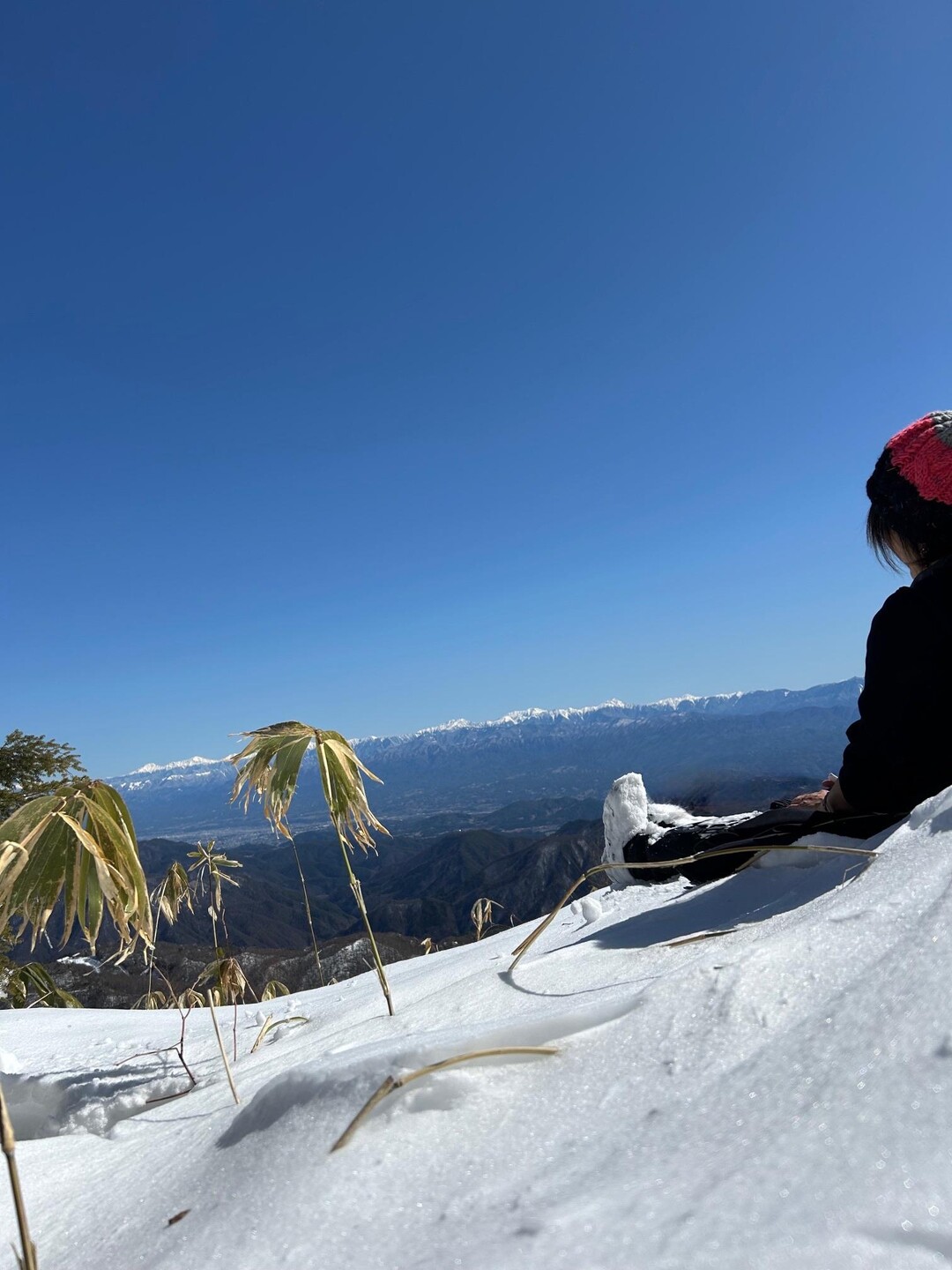 恵那山(登頂ならず( ߹ᯅ߹ )‪)-2024-02-28 / chikaユーザーさんの恵那山・大判山・神坂山の活動データ | YAMAP / ヤマップ
