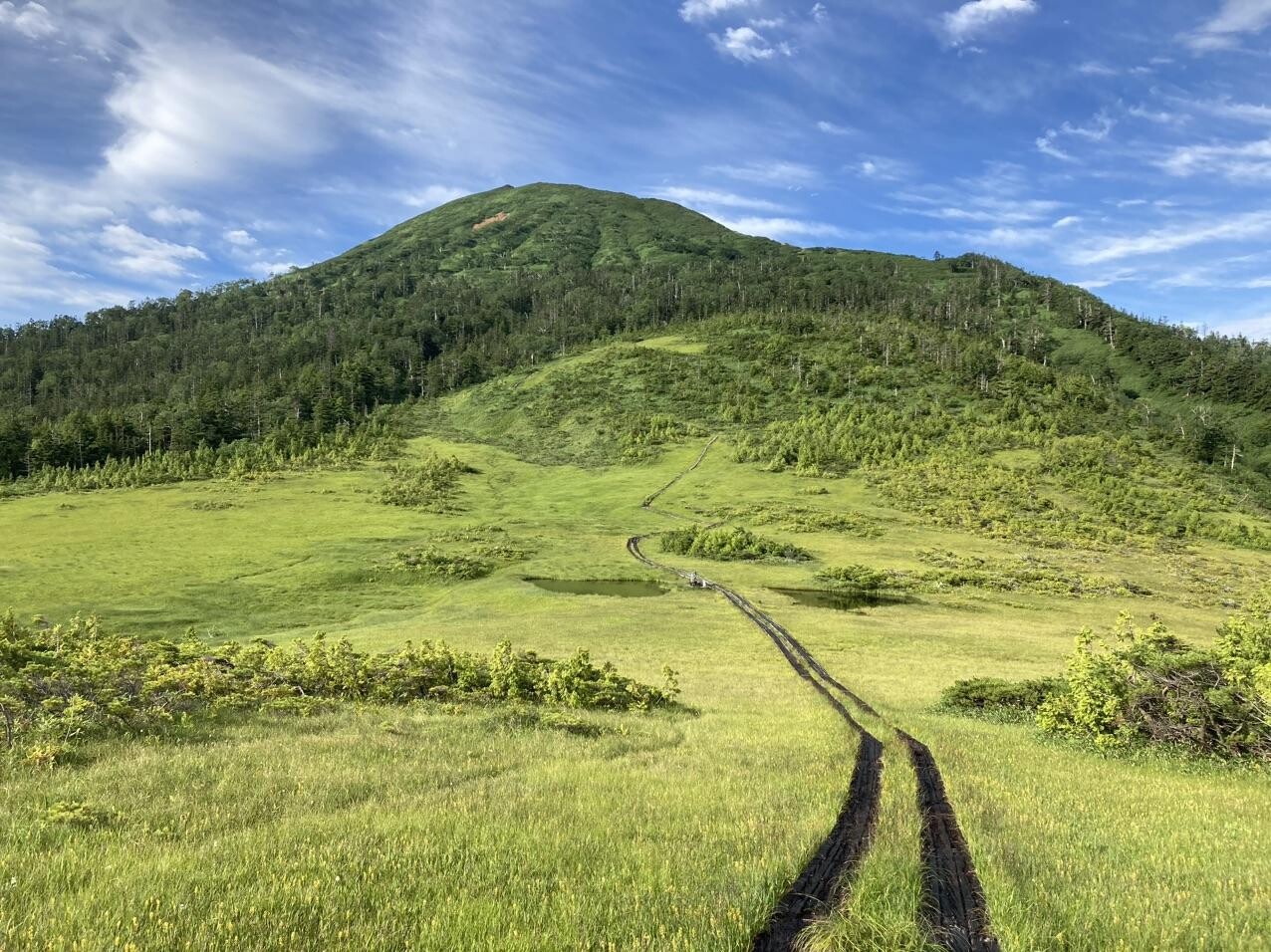 Yumiのページ | YAMAP / ヤマップ