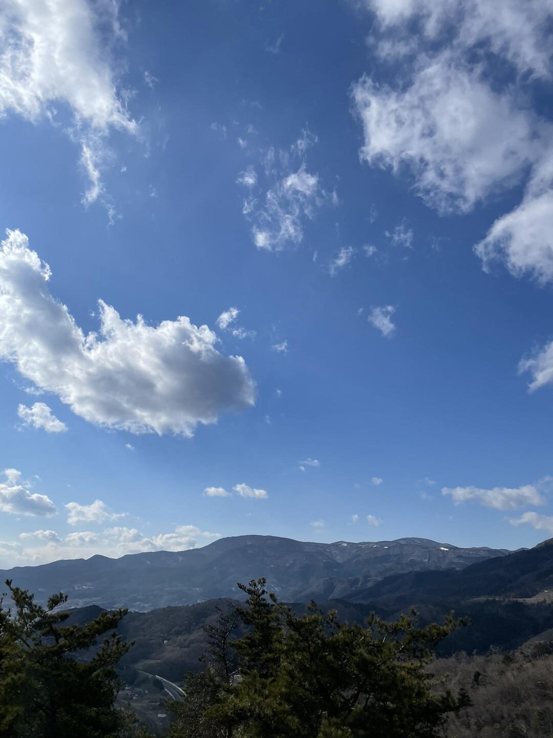 厚樫山へ / sammyくんさんの半田山・萬歳楽山の活動データ | YAMAP / ヤマップ