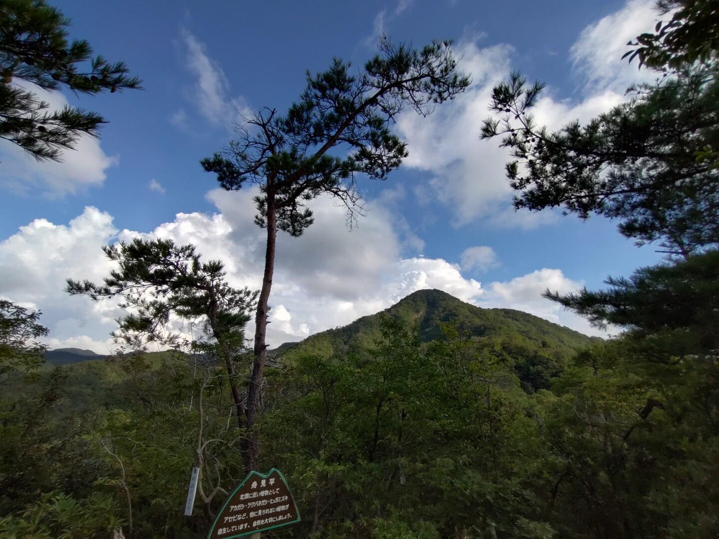 鞍掛山山歩 24-46 wt,8.2kg / toshiさんの鞍掛山・後山・三童子山の活動データ | YAMAP / ヤマップ