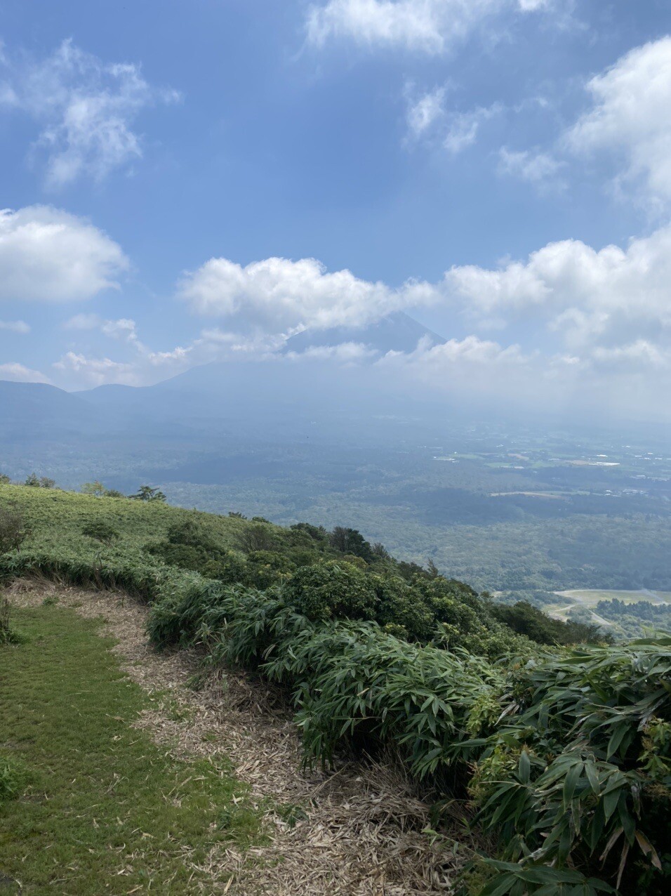 毛無山・雨ヶ岳・竜ヶ岳-2021-08-30 / kazu565さんの毛無山・雨ヶ岳・竜ヶ岳の活動データ | YAMAP / ヤマップ