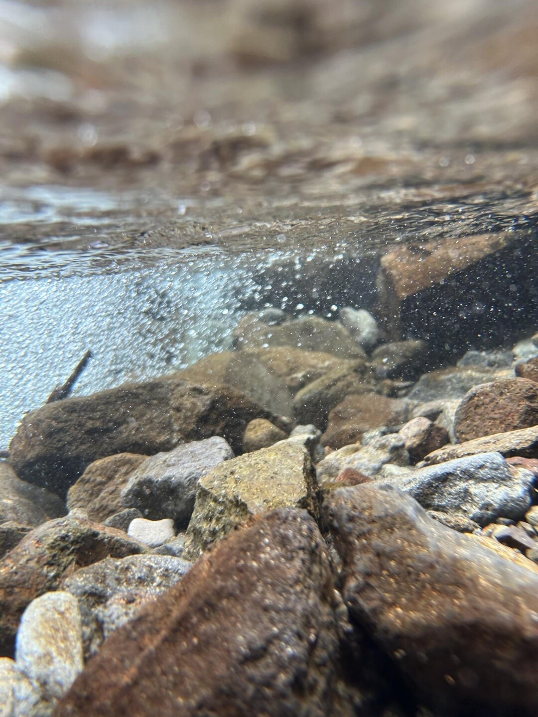 霧のこつぶり山・取立山 / godeyeさんの取立山の活動データ | YAMAP / ヤマップ