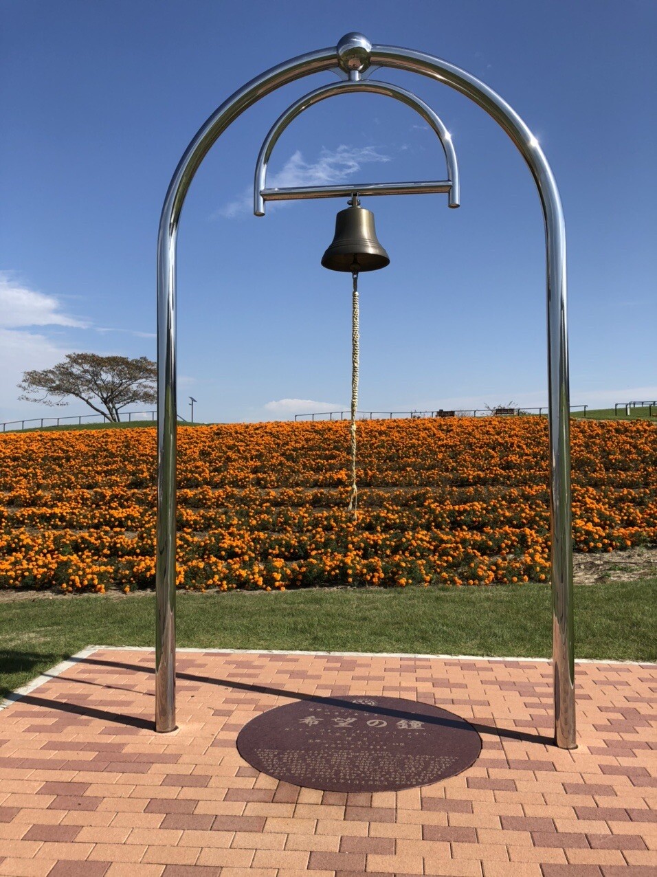 秋空の下マリーゴールドの丘にて希望の鐘を... / taki_ggさんのモーメント | YAMAP / ヤマップ