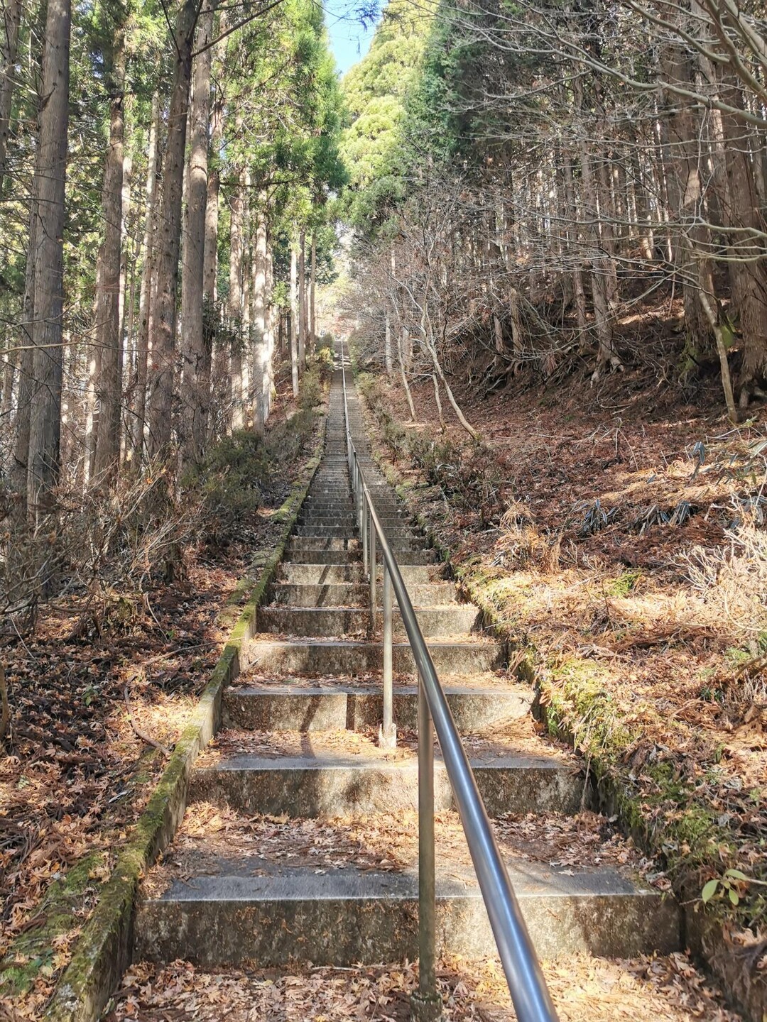 クールダウンは…🗻♨ / maiさんの御正体山・杓子山・石割山の活動データ | YAMAP / ヤマップ