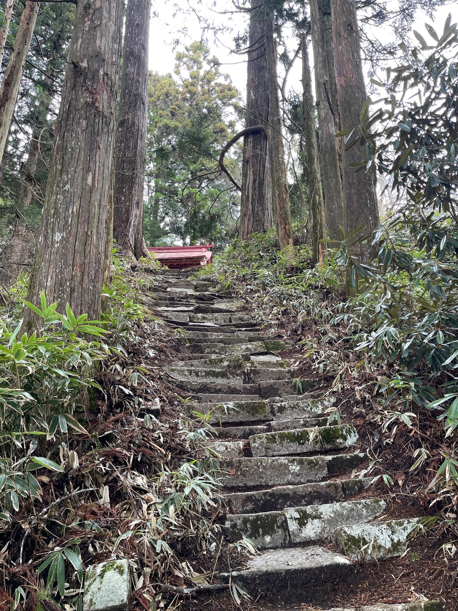 虚空蔵山・風越山（権現山） / ANZUNUKOさんの風越山（権現山）・虚空蔵山の活動データ | YAMAP / ヤマップ