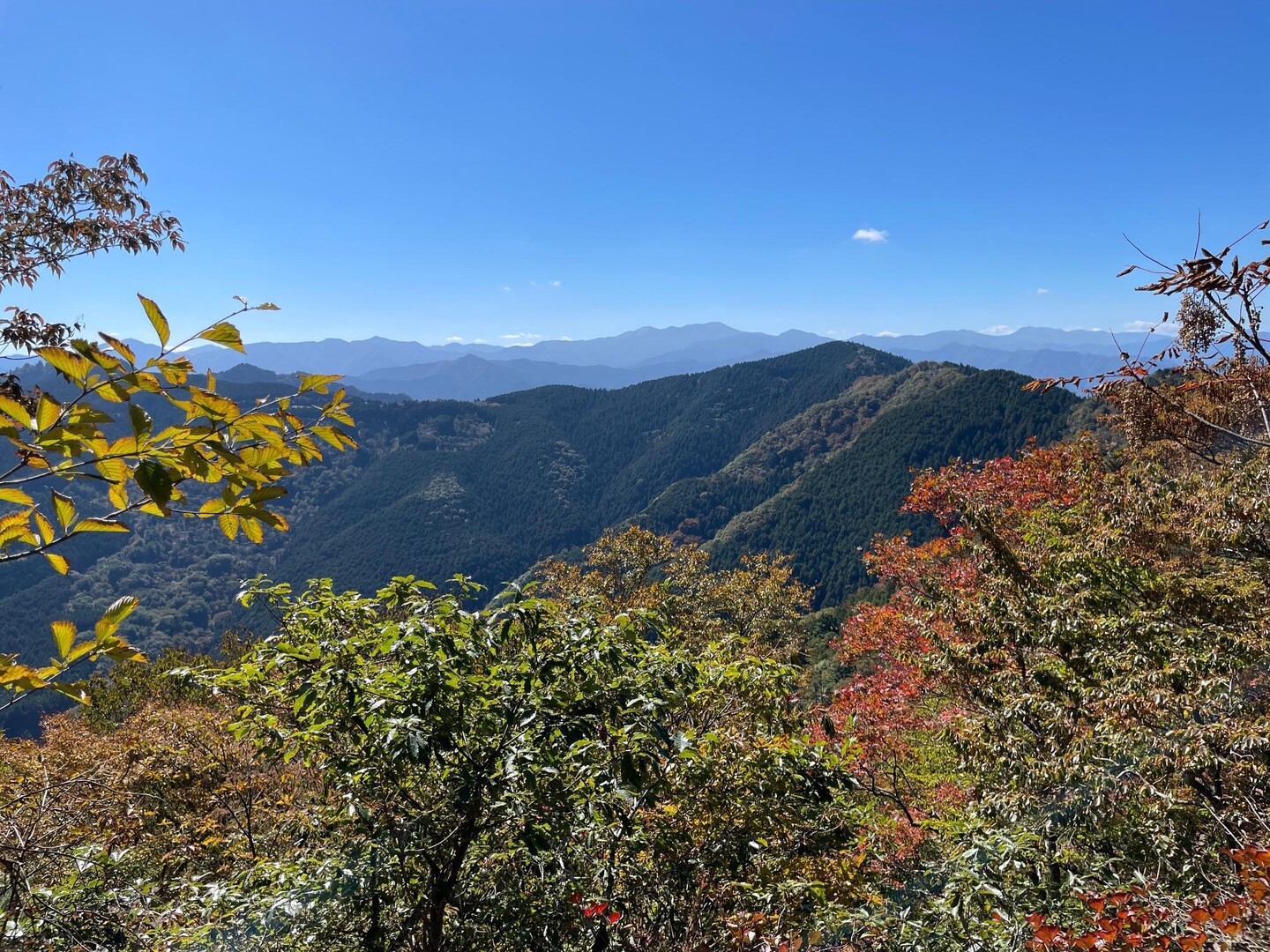 高越山(穴吹コース)2nd / トッコはんさんの高越山・奥野々山の活動データ | YAMAP / ヤマップ