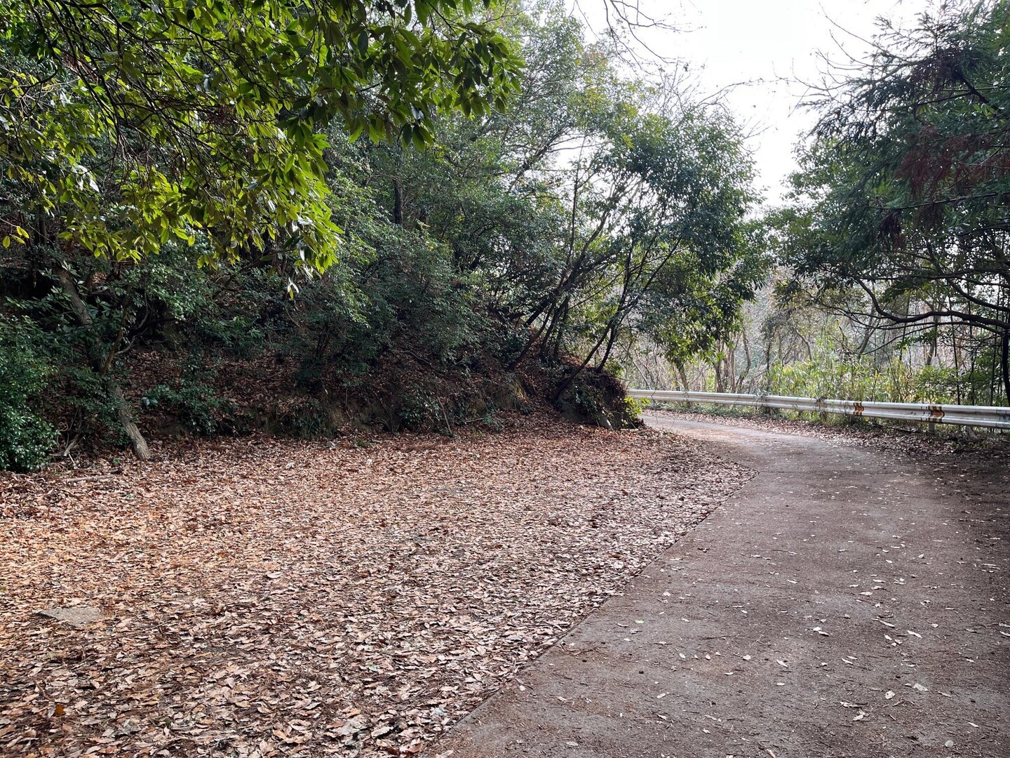 nekodakeさんの投稿したフィールドメモ | YAMAP / ヤマップ