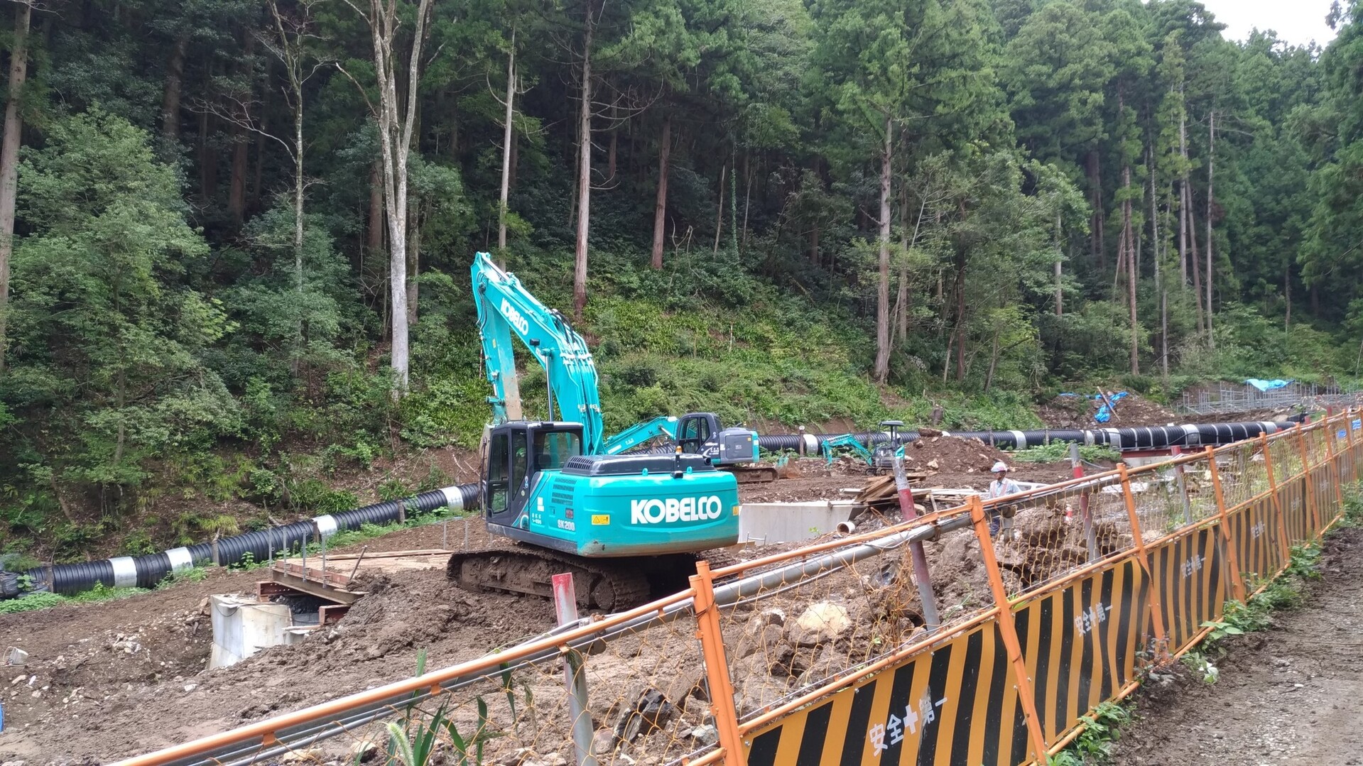 倒木続きの文殊山角原コース / tr_hiroさんの文殊山の活動データ | YAMAP / ヤマップ