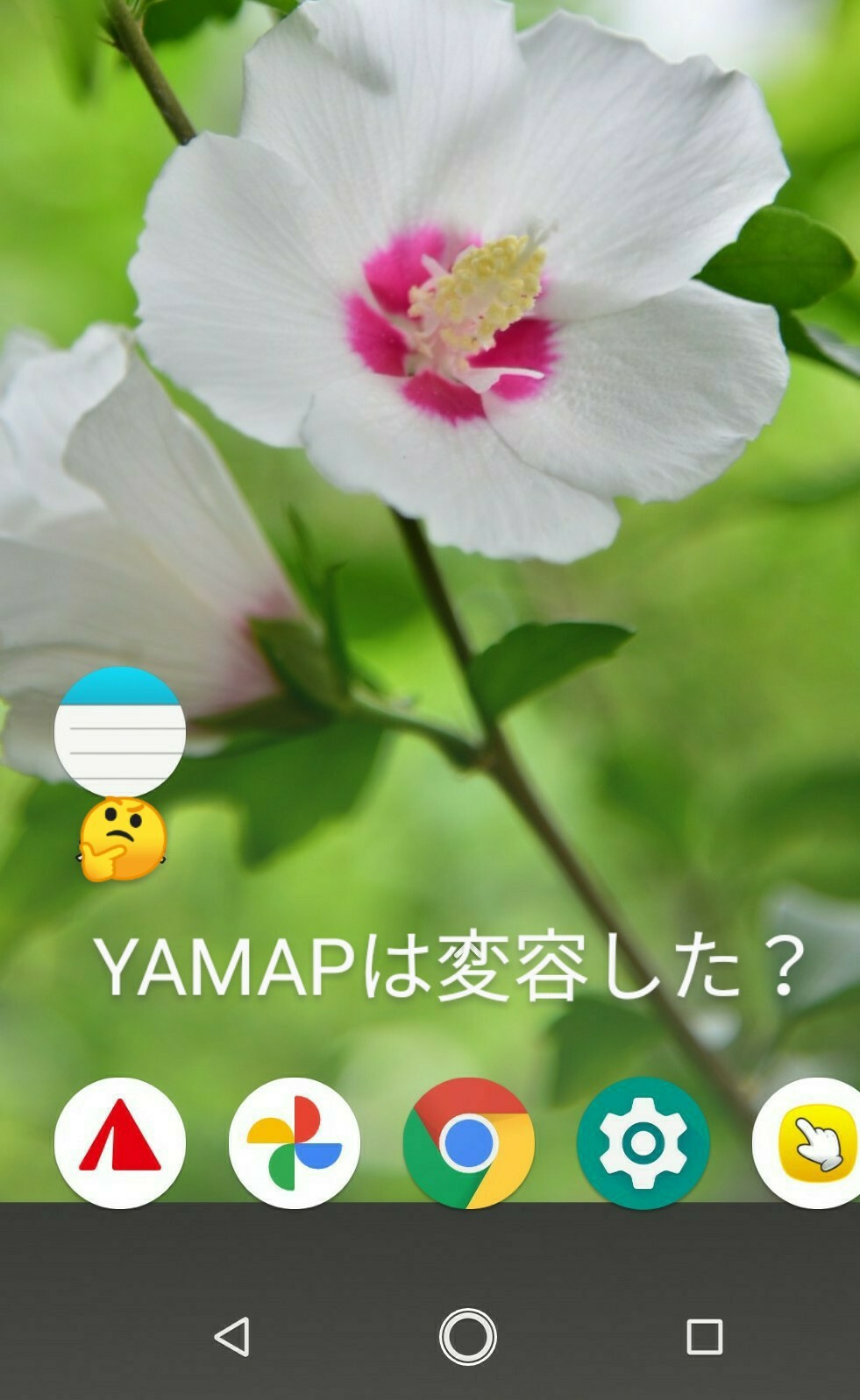 【ヤマップの資源】 ヤマップの基本ルール... / ootakahiko さんのモーメント | YAMAP / ヤマップ