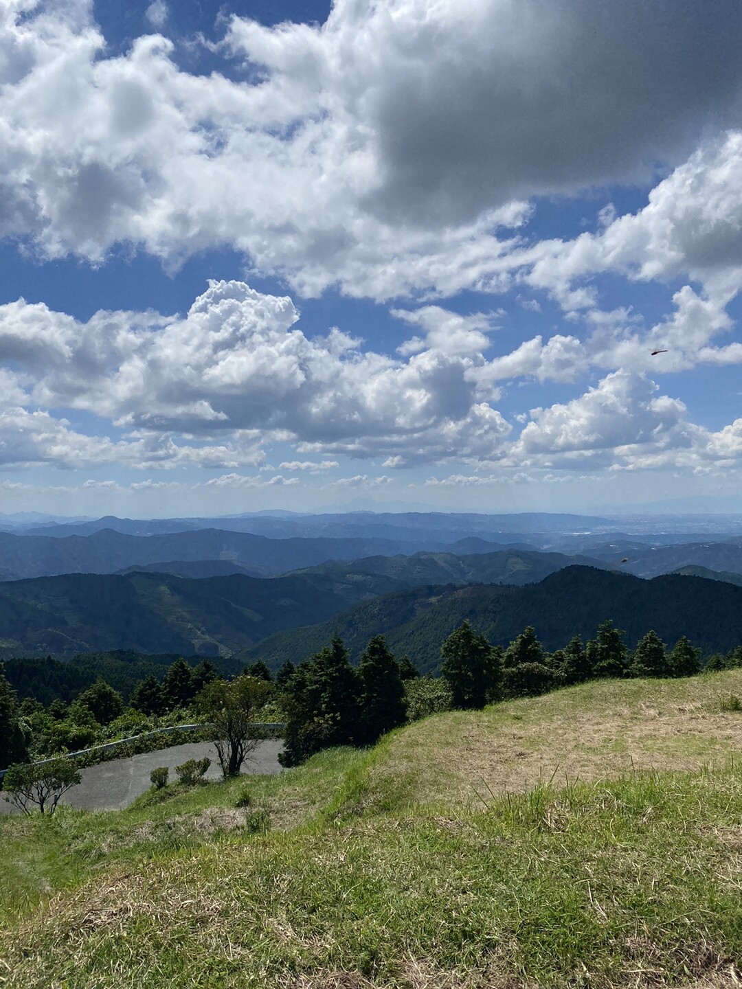 素朴な疑問… / ARままさんの高良山・発心山・鷹取山の活動データ | YAMAP / ヤマップ