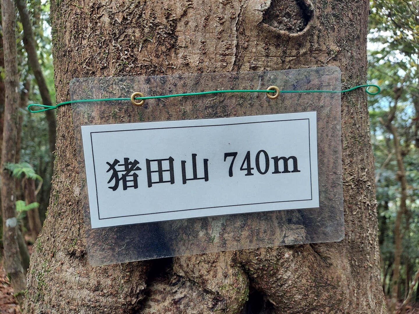 西都市 猪田山 / derainandreさんの地蔵岳の活動データ | YAMAP / ヤマップ