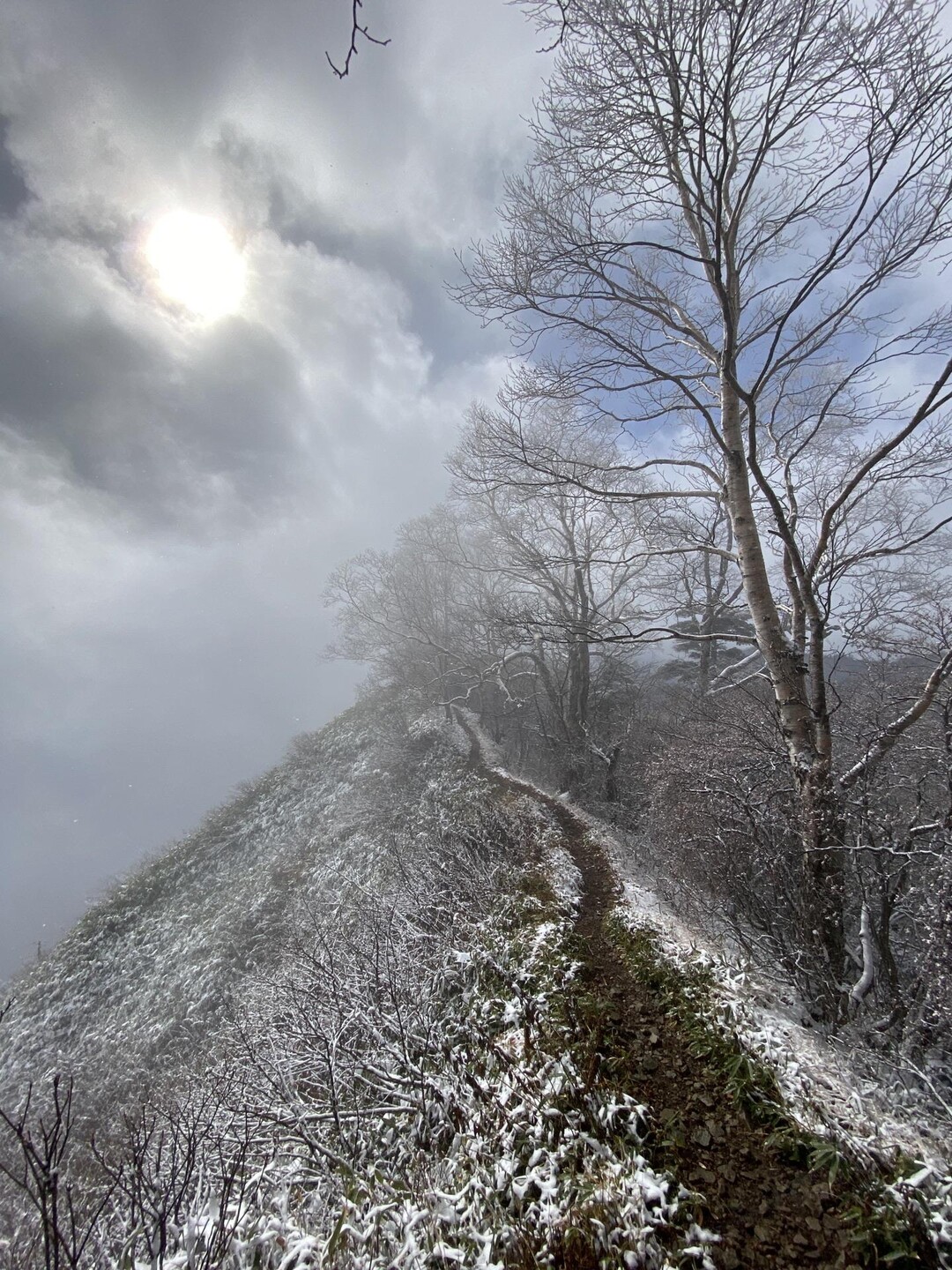 高妻山 ⛰️💯名山🏔️ / Patさんの高妻山・戸隠山の活動データ | YAMAP / ヤマップ
