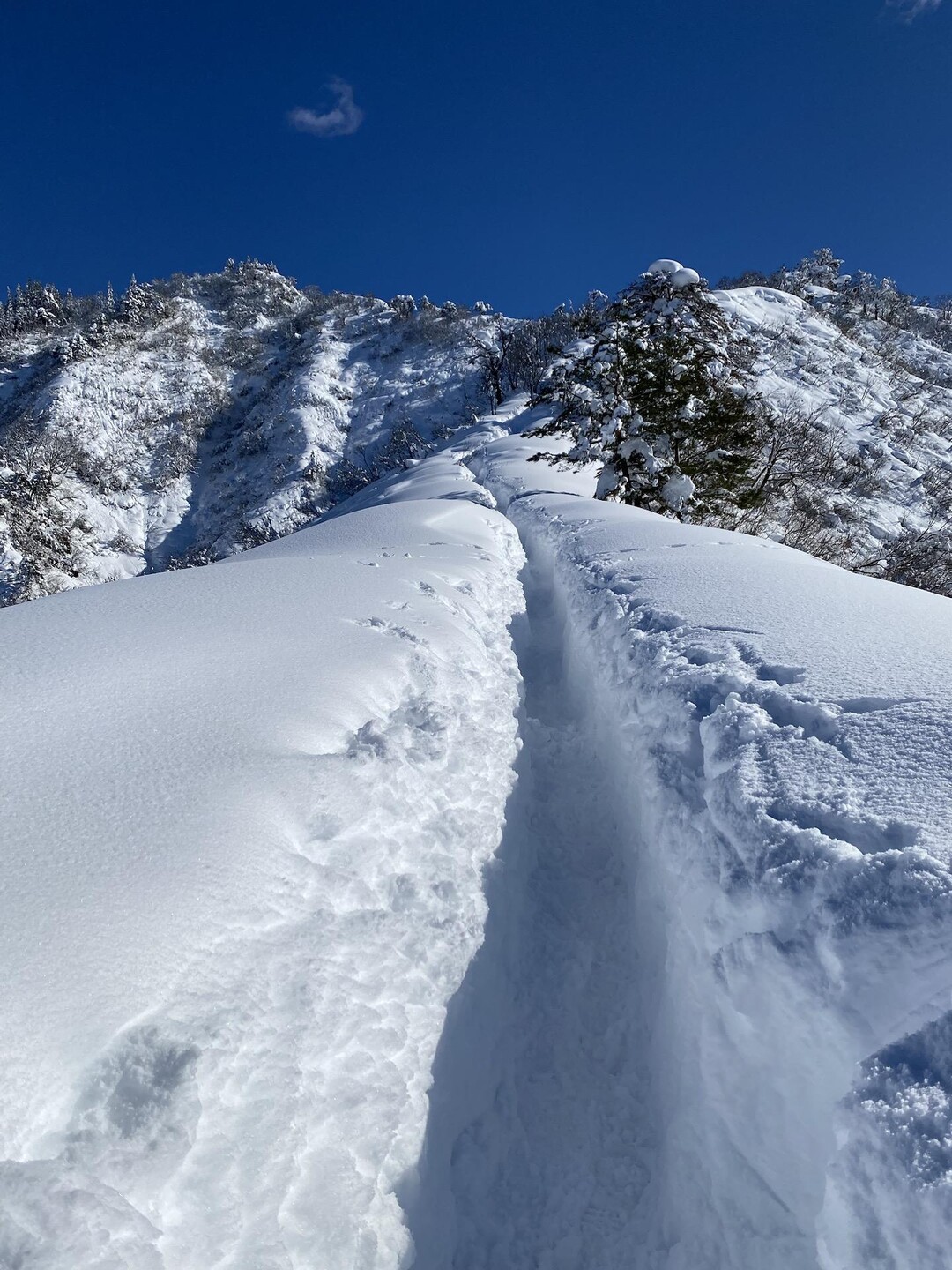 ️坂戸山で登り納め ️ / yukiさんの坂戸山の活動日記 | YAMAP / ヤマップ