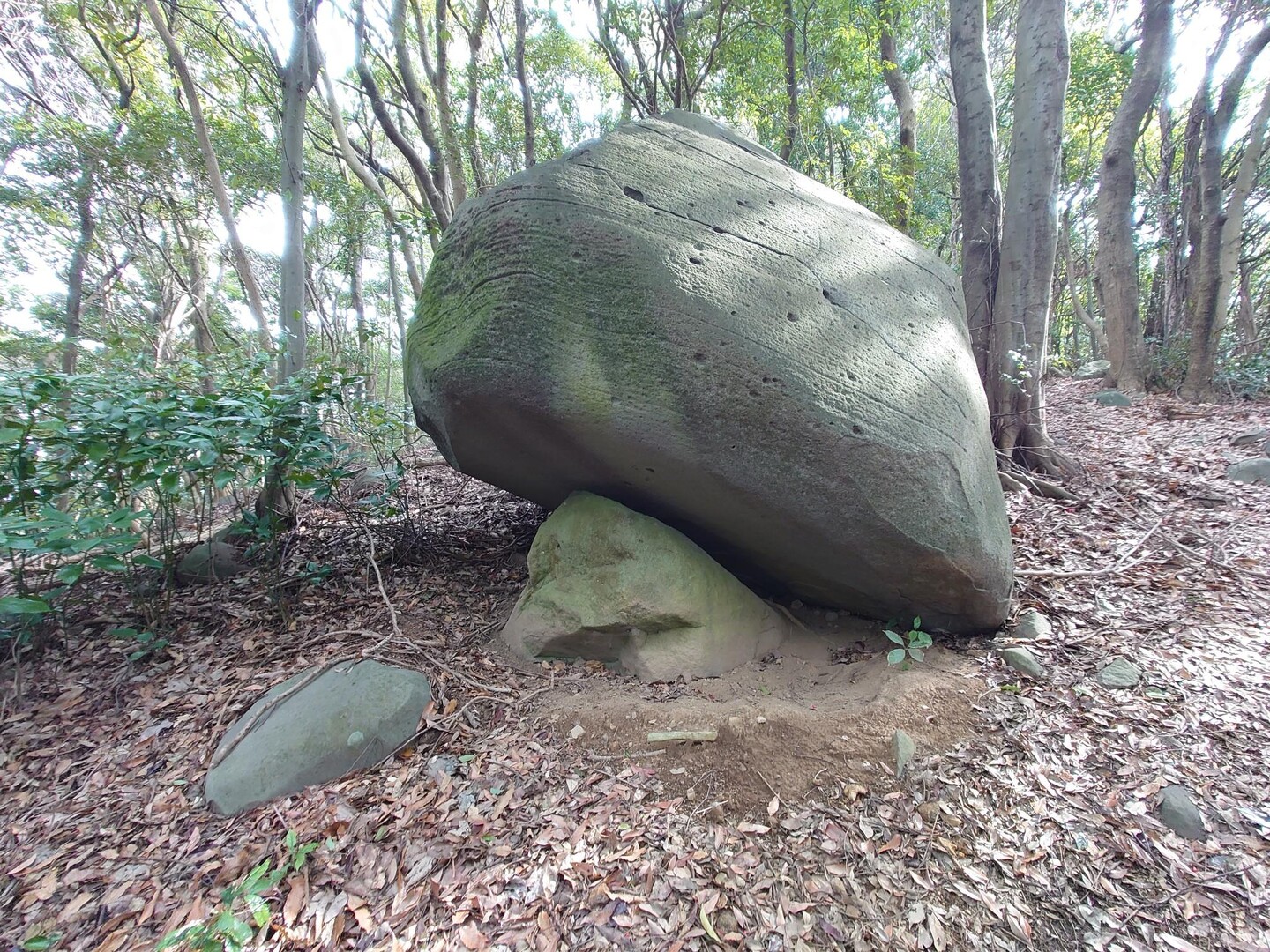 本妙寺山・天狗山 / kikuさんの金峰山・二ノ岳・三ノ岳の活動データ | YAMAP / ヤマップ