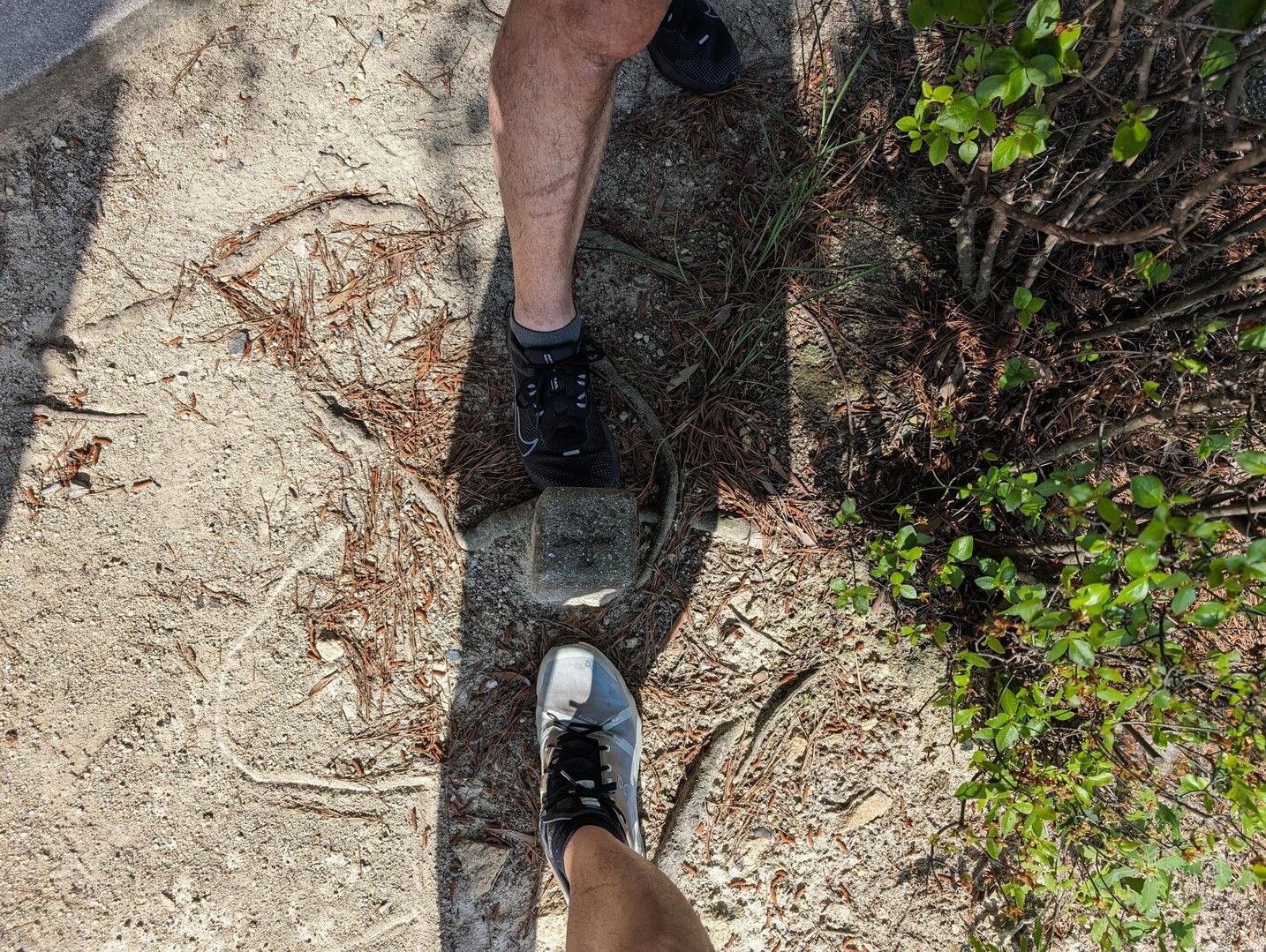 小鳥の森から高尾山・新庄山 / Shimo KJさんの芥子山・シャシャ木山の活動データ | YAMAP / ヤマップ