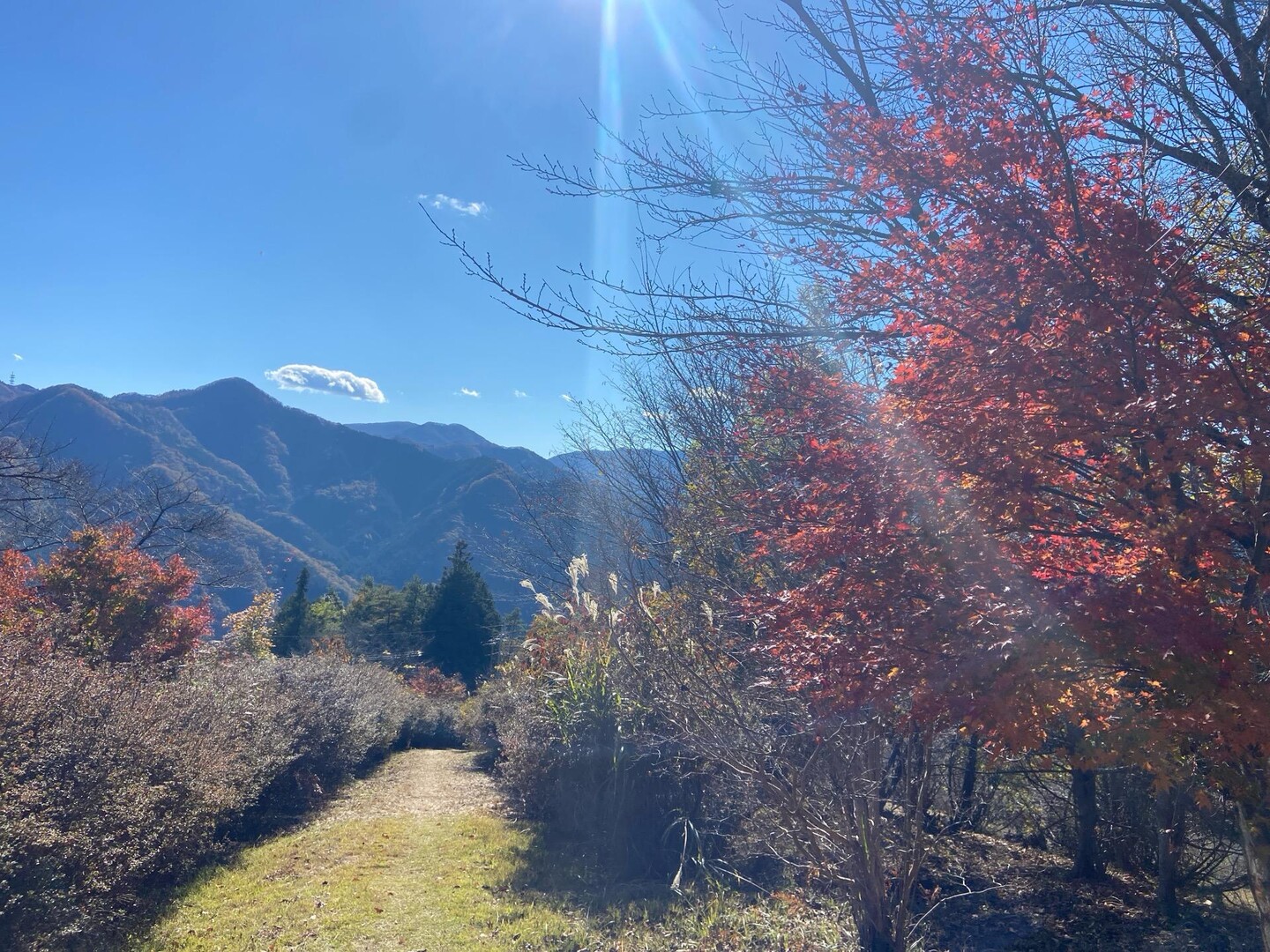 日向山 / Chikaさんの丸山・日向山の活動データ | YAMAP / ヤマップ