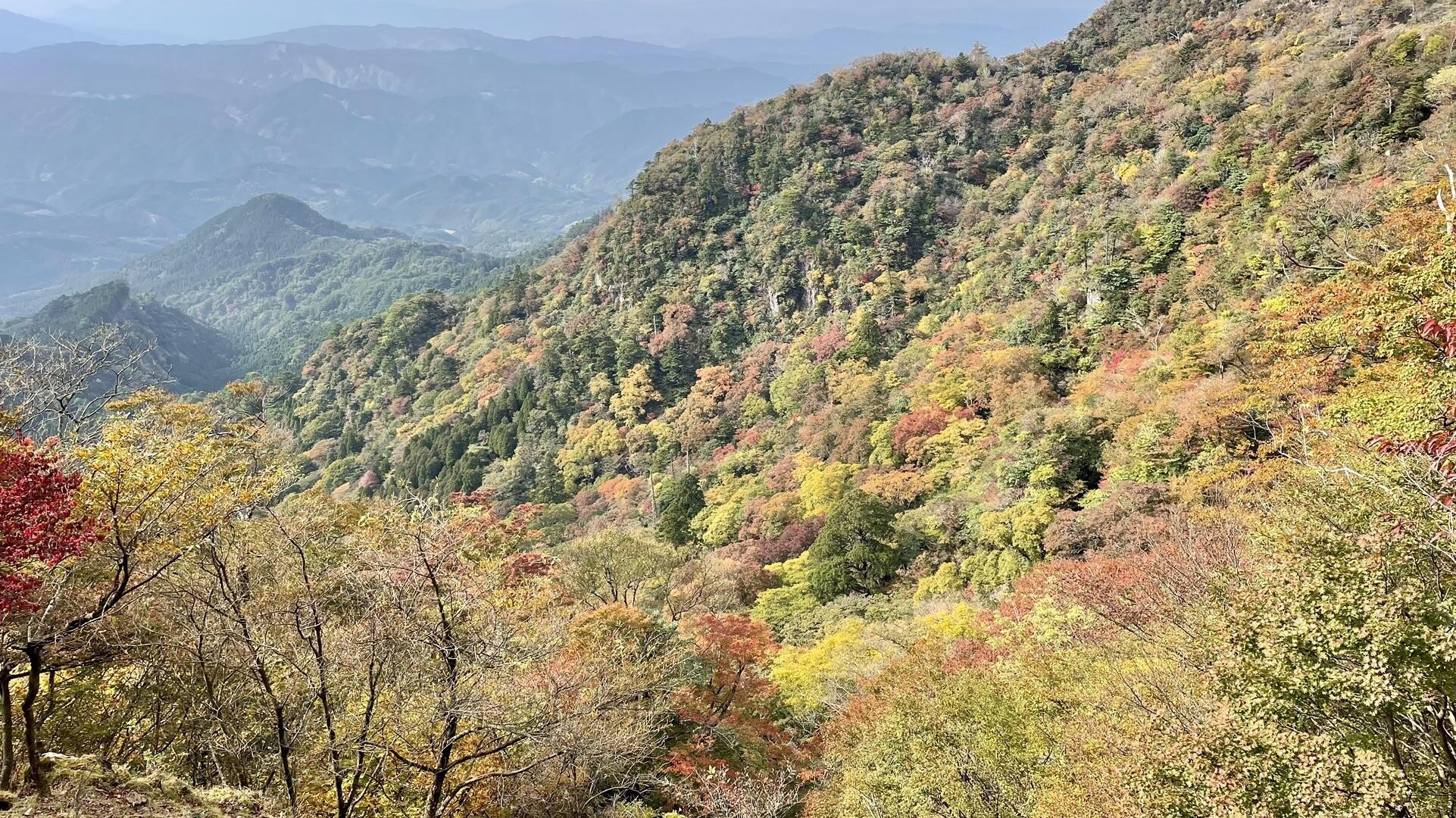 カラフル英彦山 もう少しで赤く染まるのか... / やかつのあかぼーさんのモーメント | YAMAP / ヤマップ