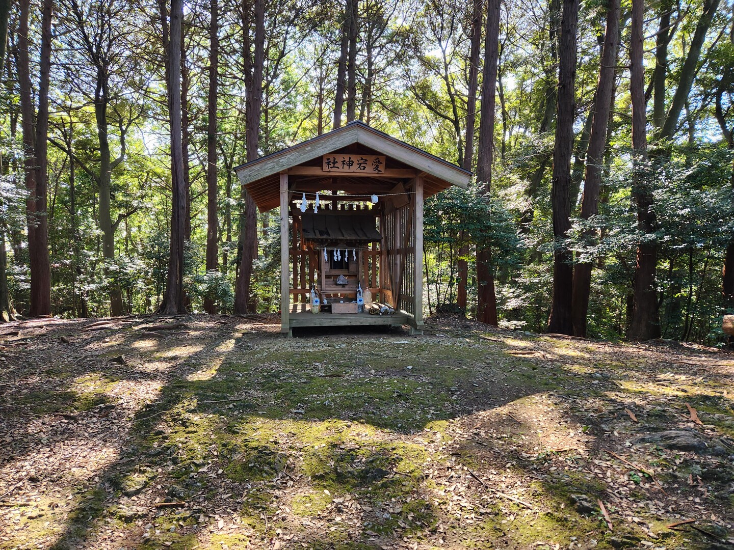 堂山・愛宕山x2 / dxcさんの堂平山・笠山（乳房山）・大霧山の活動データ | YAMAP / ヤマップ