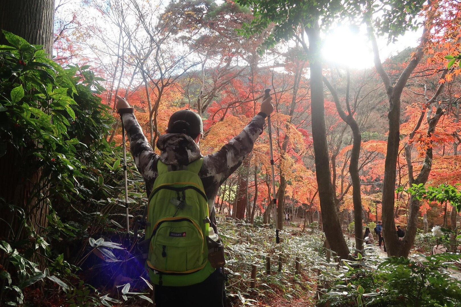 六甲山 / toshi_kさんの六甲山・長峰山・摩耶山の活動データ | YAMAP / ヤマップ