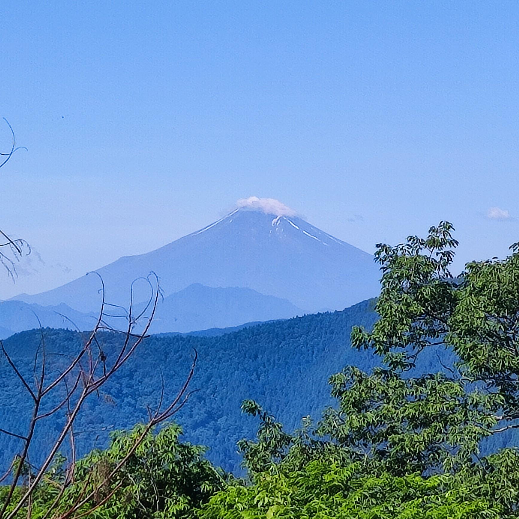 三頭山😀松生山で富士山見えた（上川乗BS〜仲の平BS） / 銀座ハムスターさんの三頭山・槇寄山・土俵岳の活動データ | YAMAP / ヤマップ