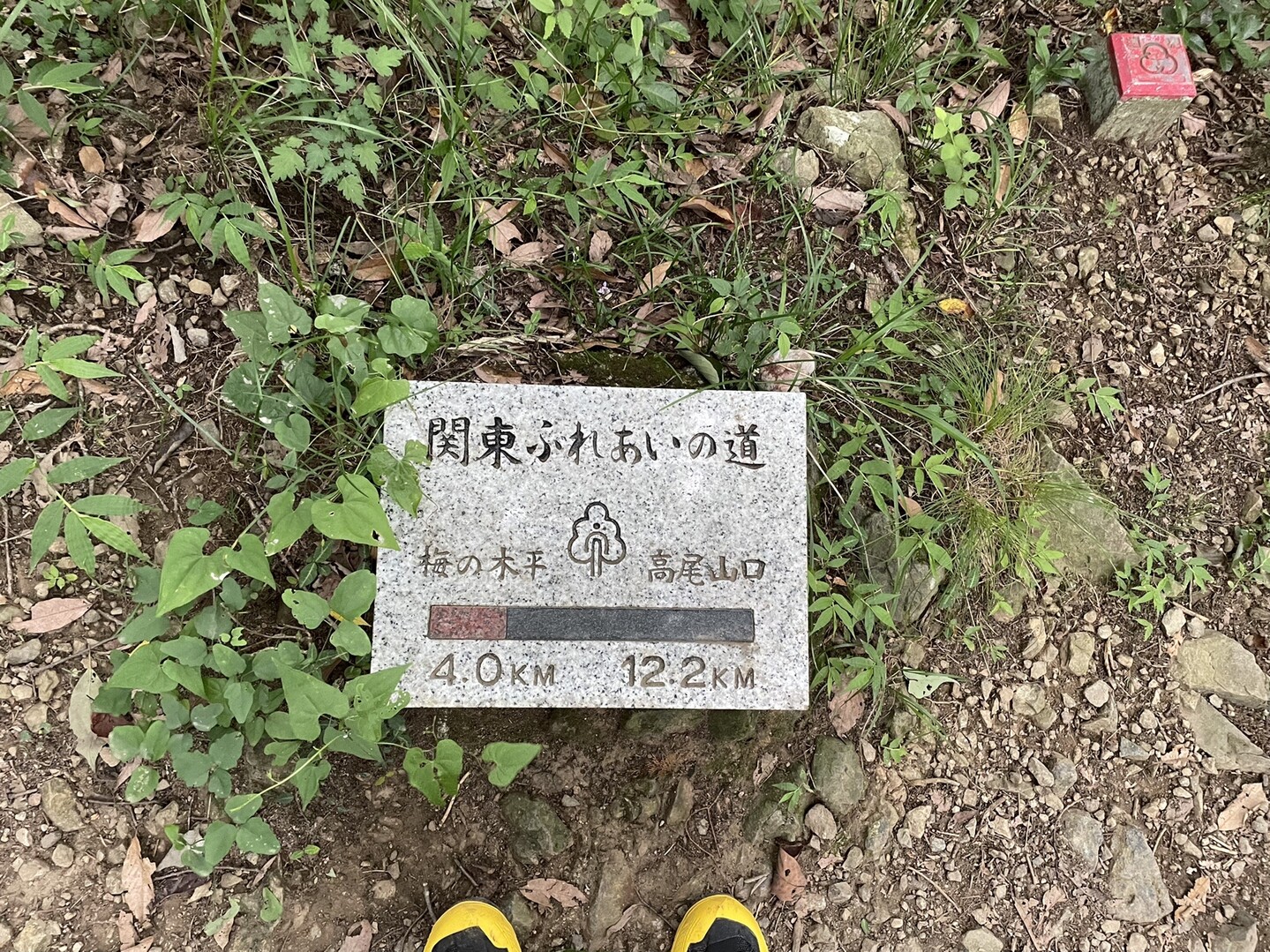 tskさんの投稿したフィールドメモ | YAMAP / ヤマップ